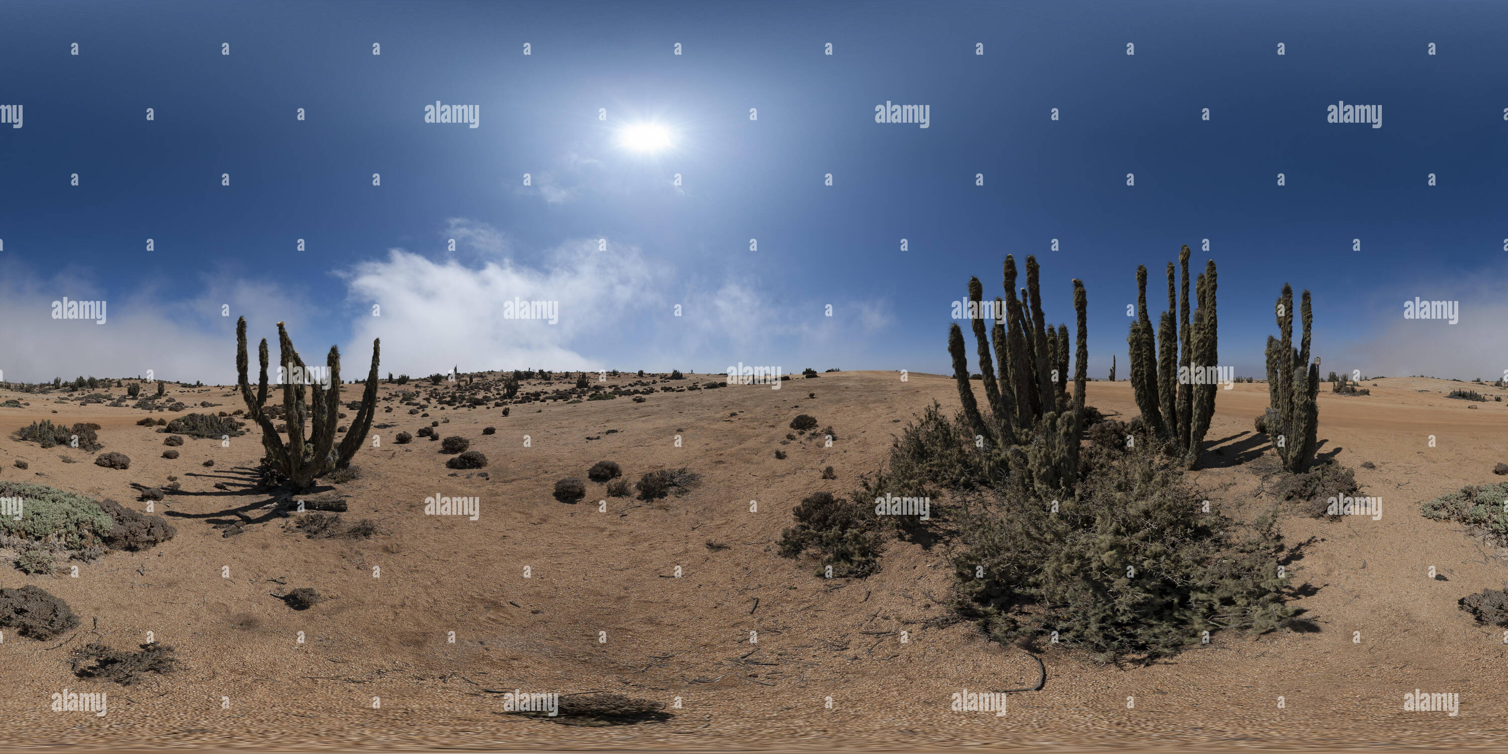 360° view of Parque Nacional Pan de Azucar, Chile - Alamy