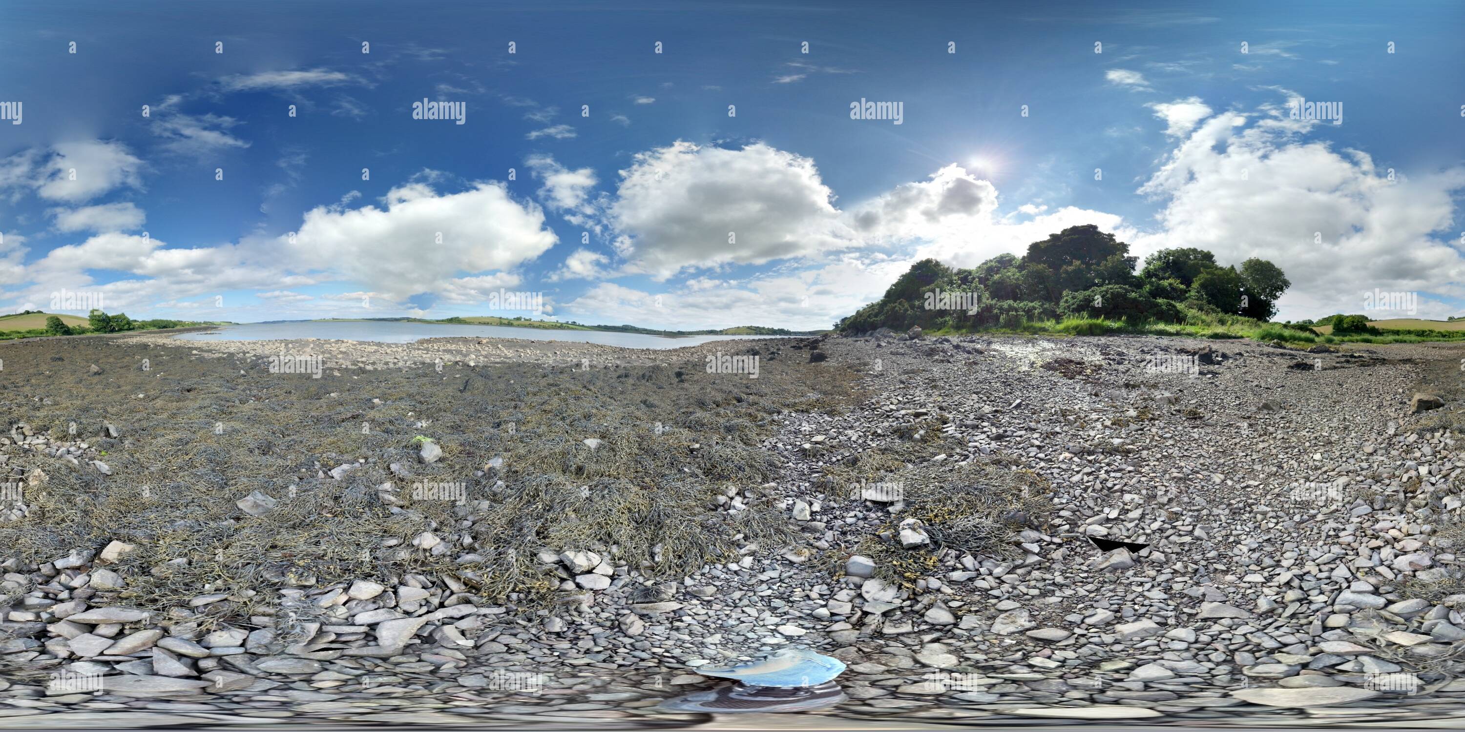 Delamont country park hi-res stock photography and images - Alamy