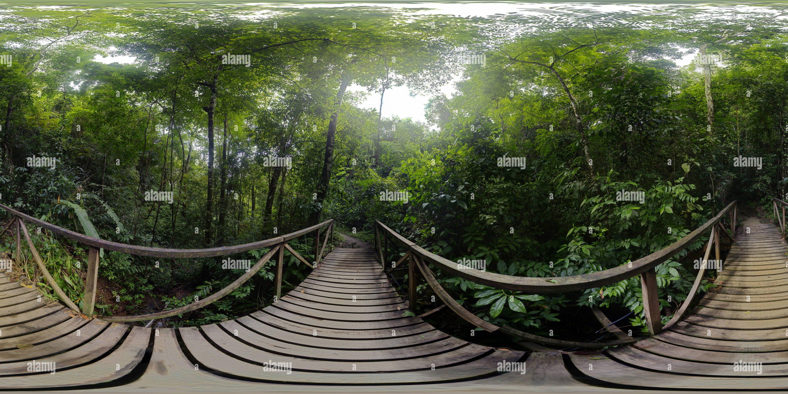 360° view of Sendero Parque Nacional Manuel Antonio - Alamy
