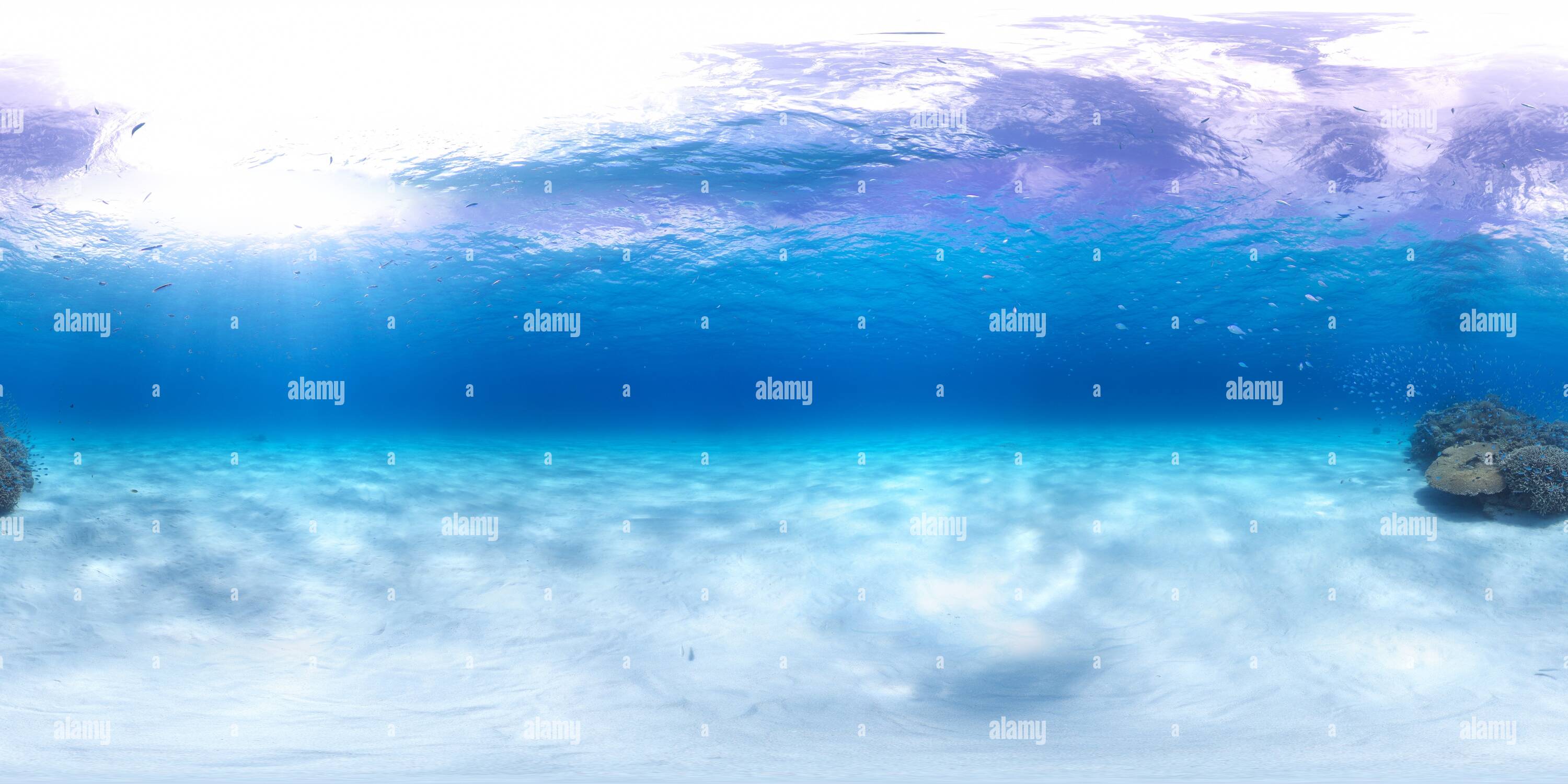 Hanari hi-res stock photography and images - Alamy