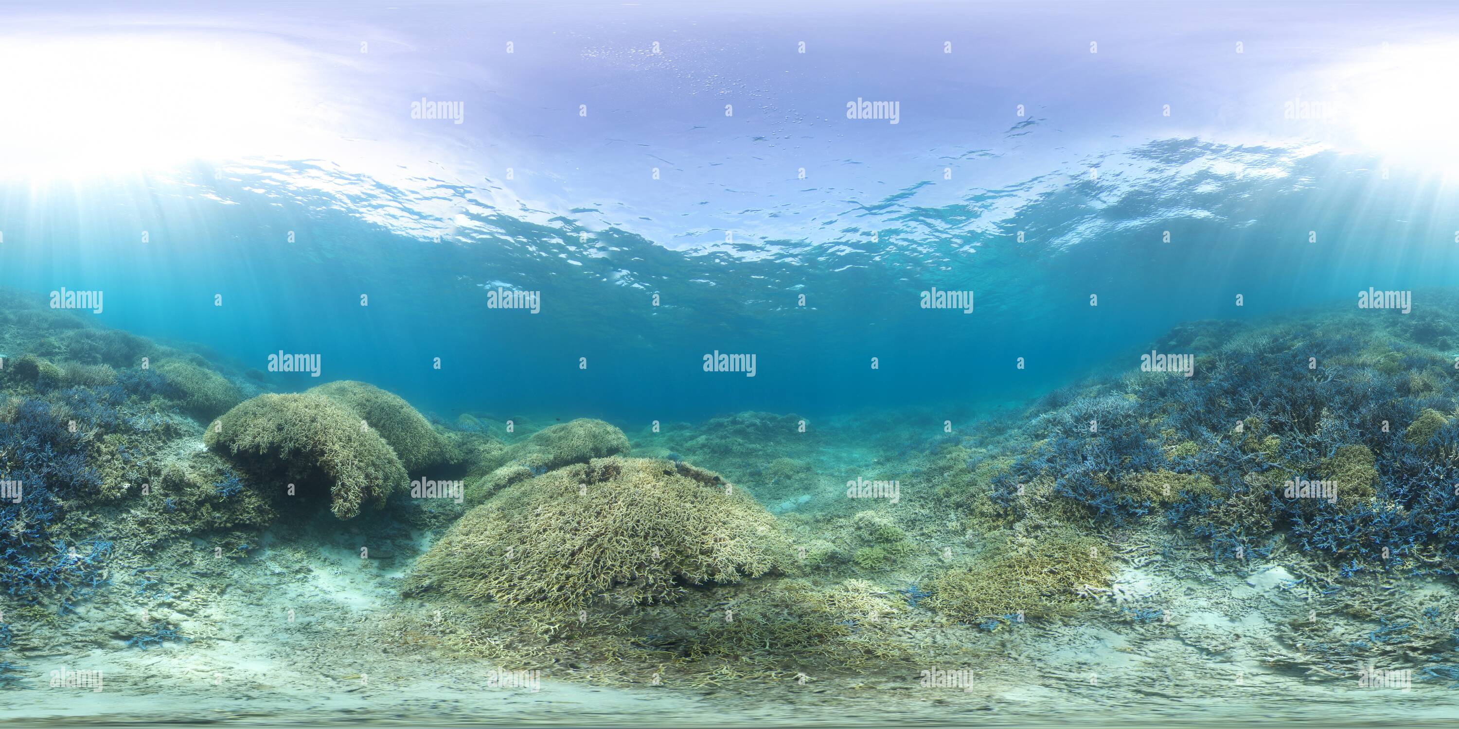 Aharen hi-res stock photography and images - Alamy