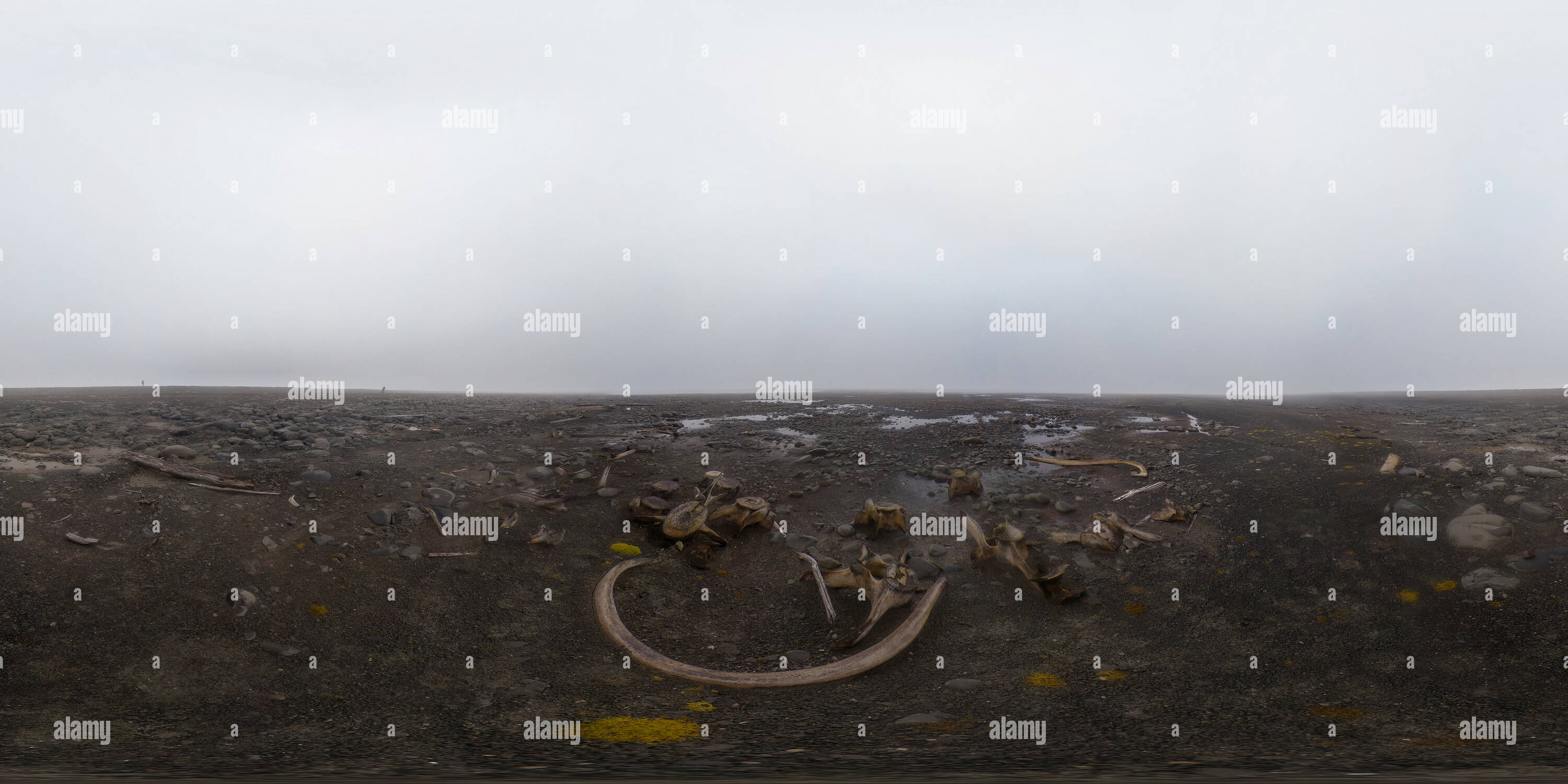 360° view of Bell Island, Franz Josef Land - Alamy