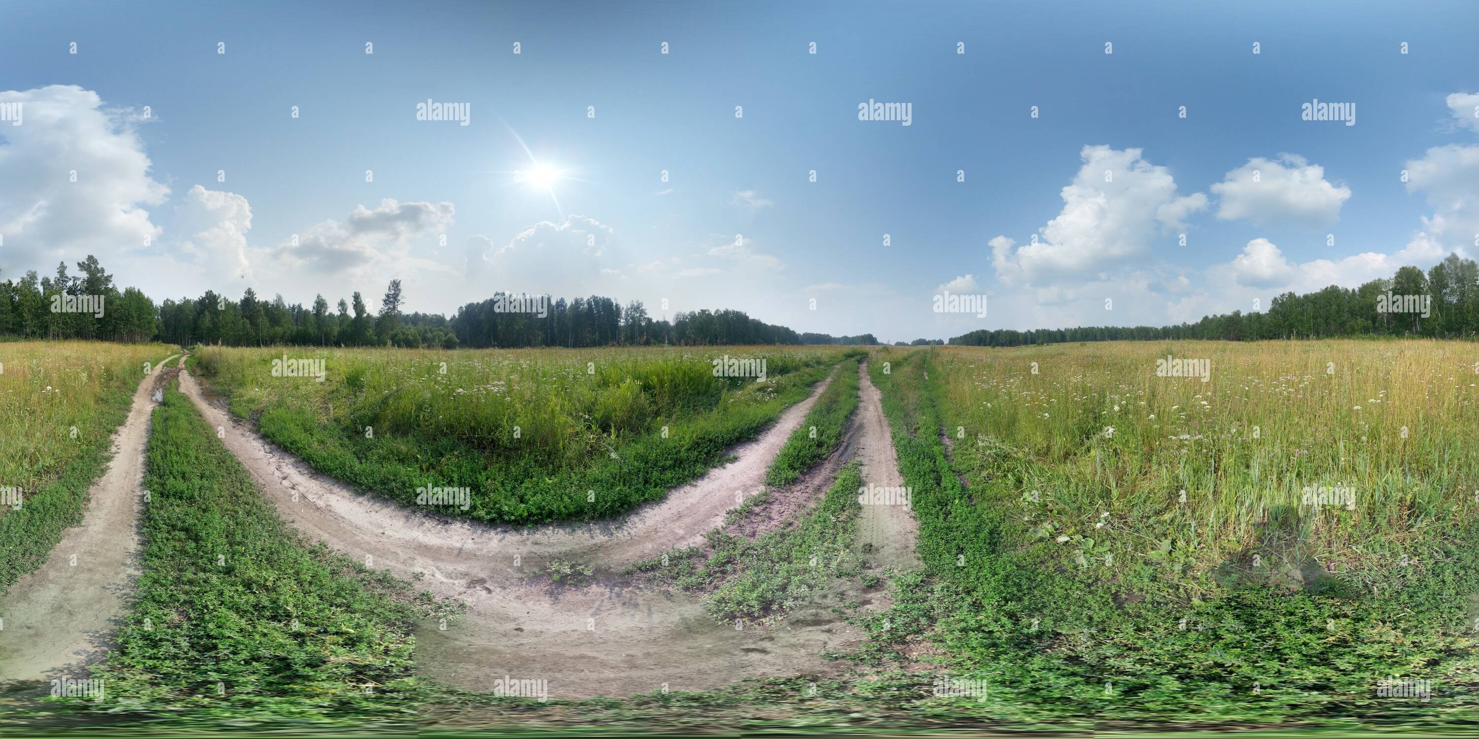 360° view of Field and wood - Alamy