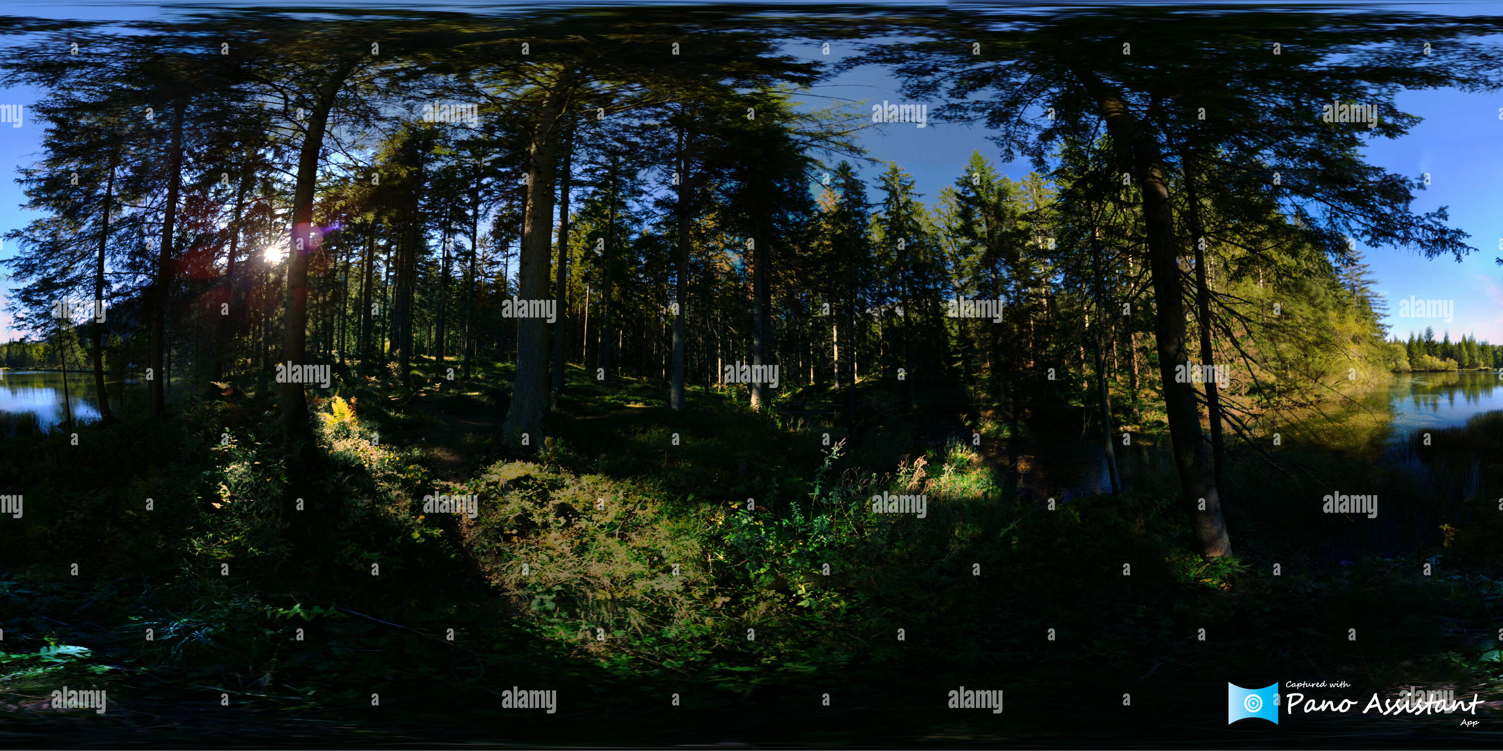 Nokia lumia hi-res stock photography and images - Alamy