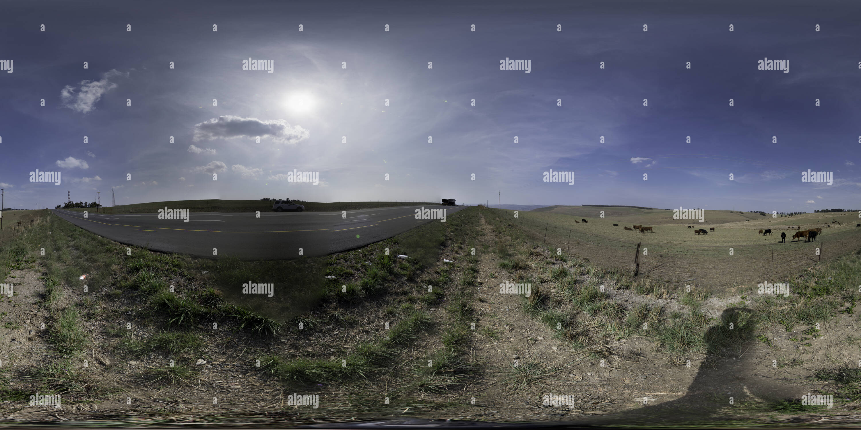 Spherical cow hi-res stock photography and images - Alamy