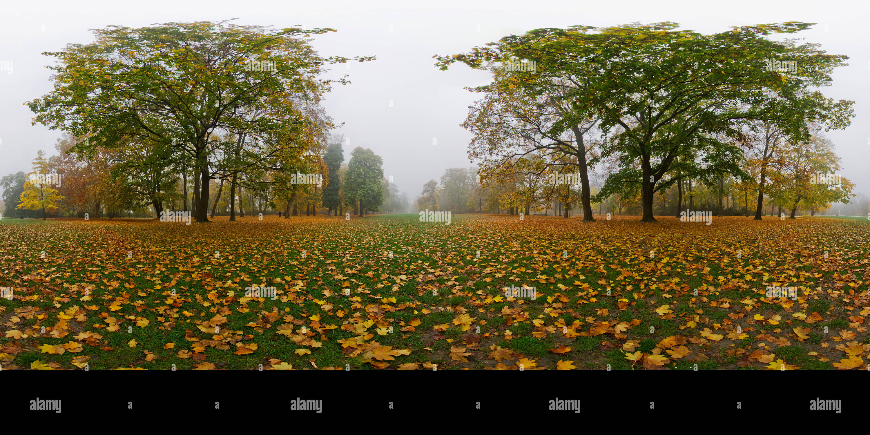 Krala hi-res stock photography and images - Alamy