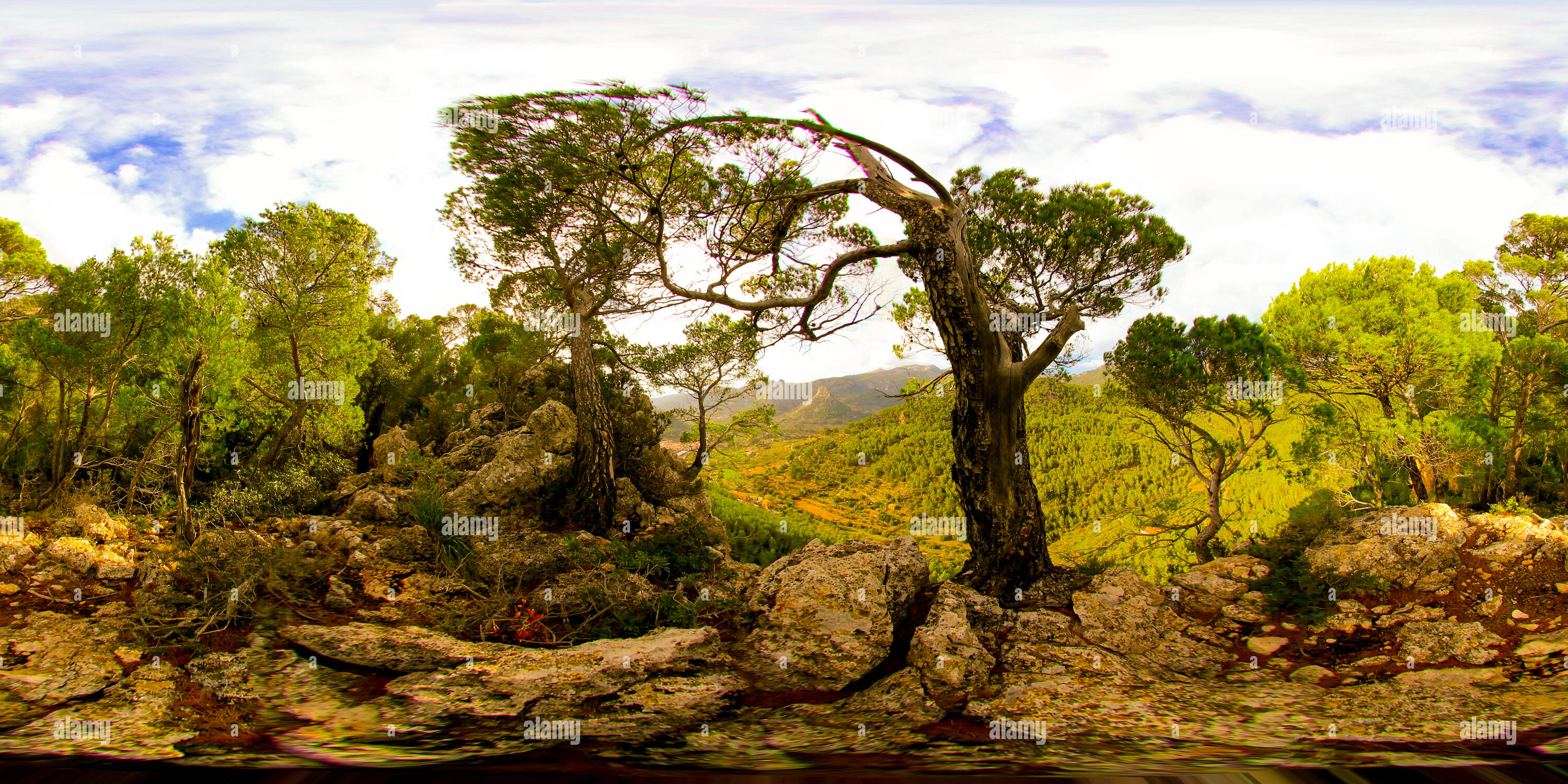 Mallorca bunyola hi-res stock photography and images - Alamy