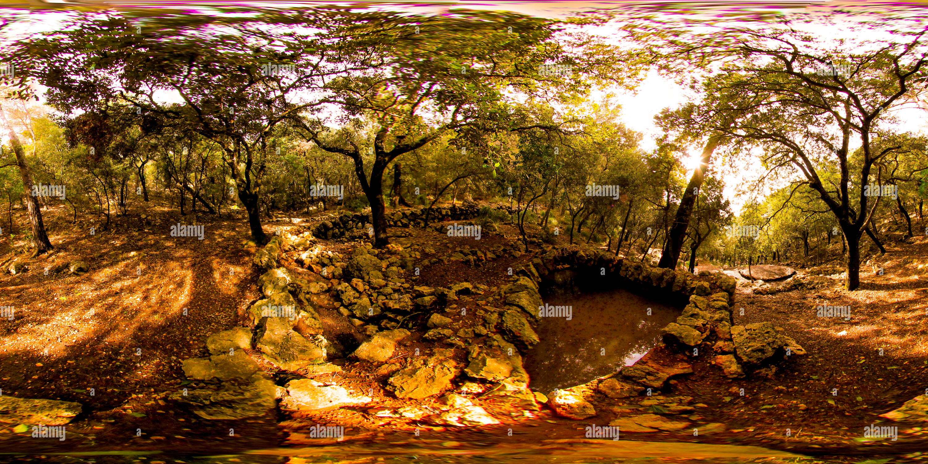 Mallorca bunyola hi-res stock photography and images - Alamy