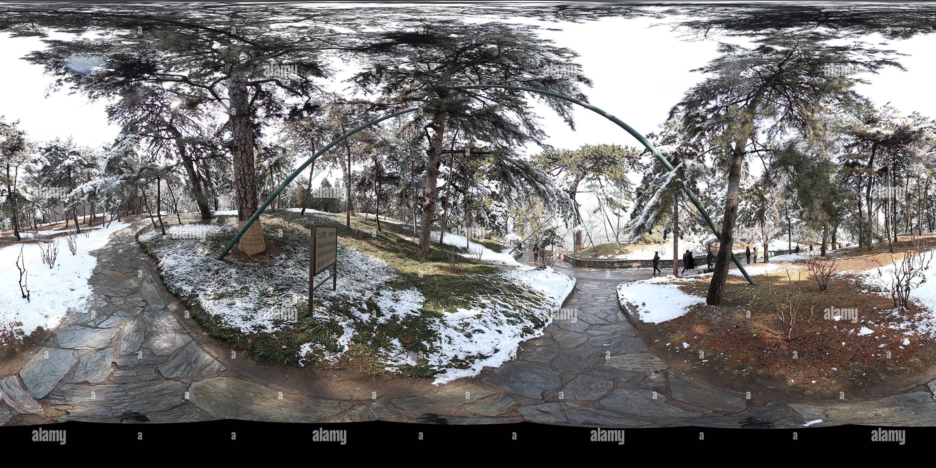 Ss11 hi-res stock photography and images - Alamy