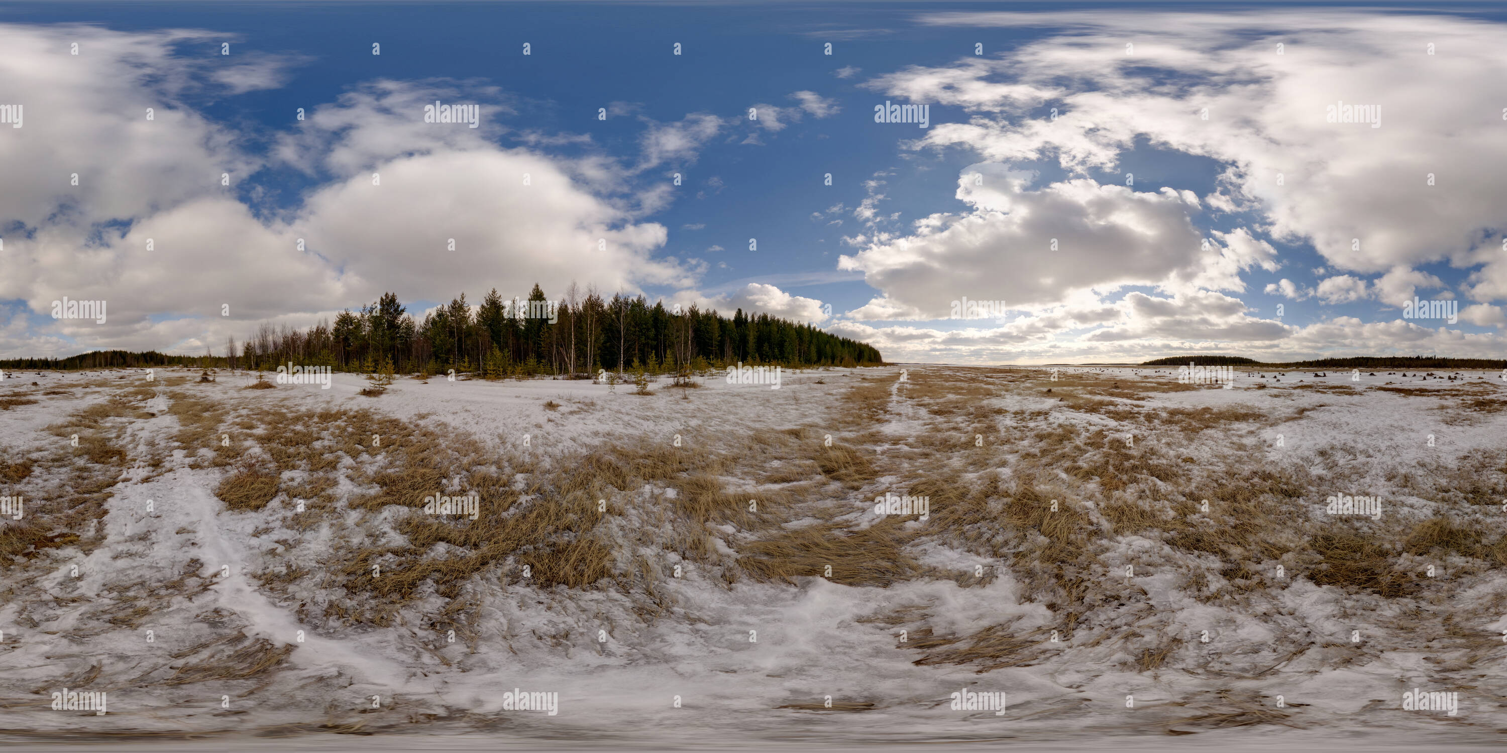 360° view of Ski track traces on a bog in the spring - Alamy