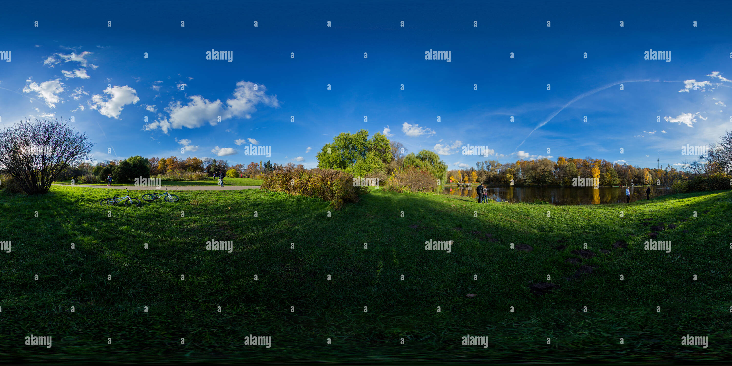 360° view of In Botanical Garden - Alamy