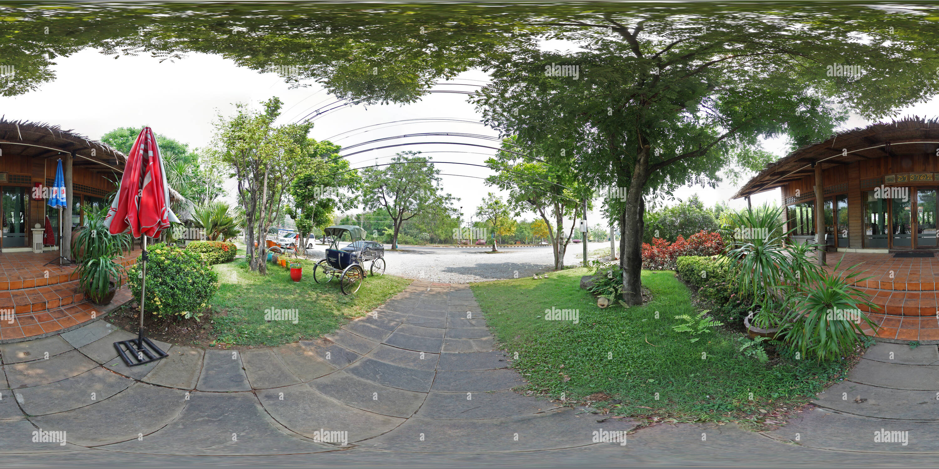 Lamnarai hi-res stock photography and images - Alamy