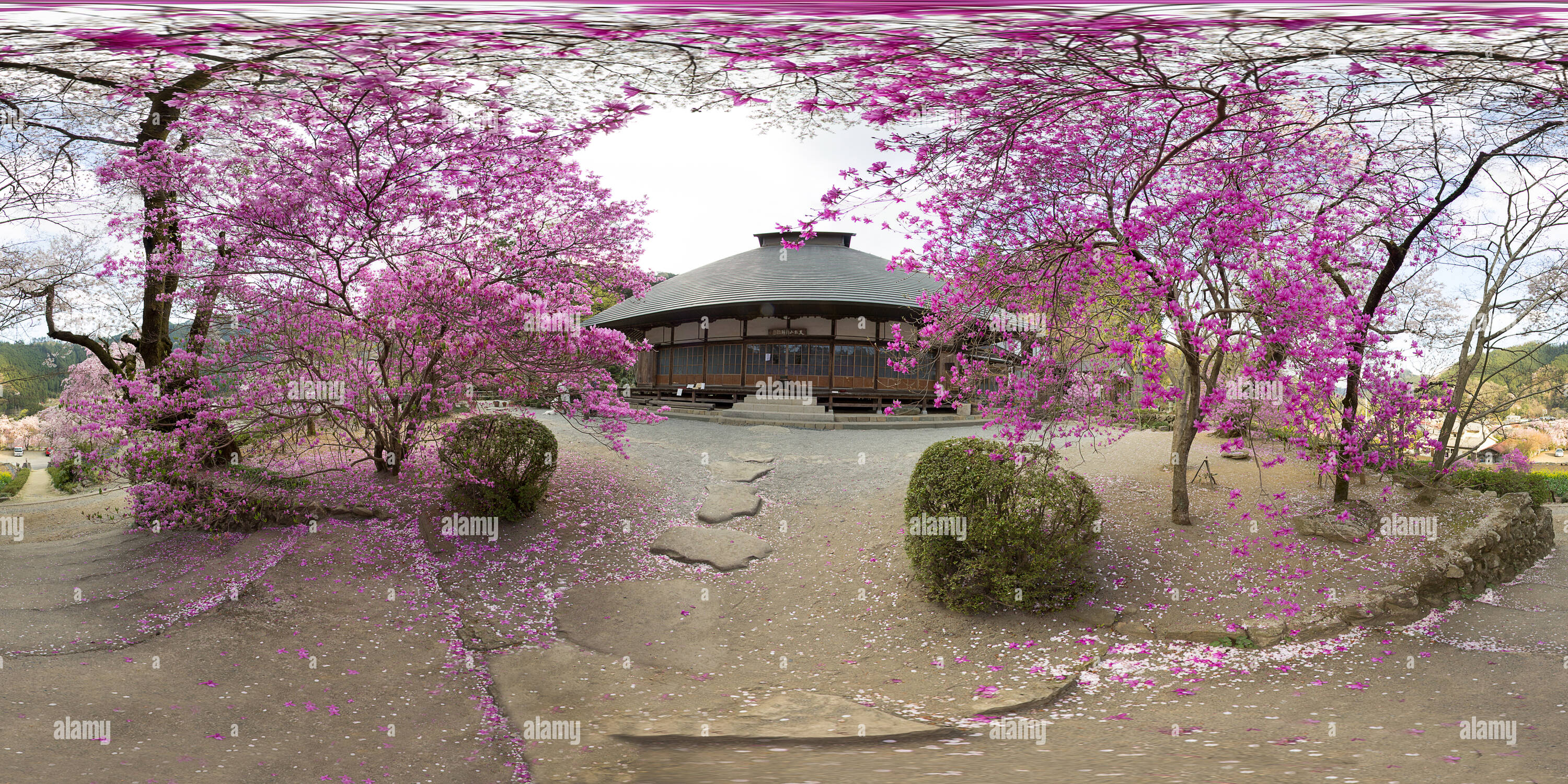 360° view of Spring of a temple in mountain - Alamy