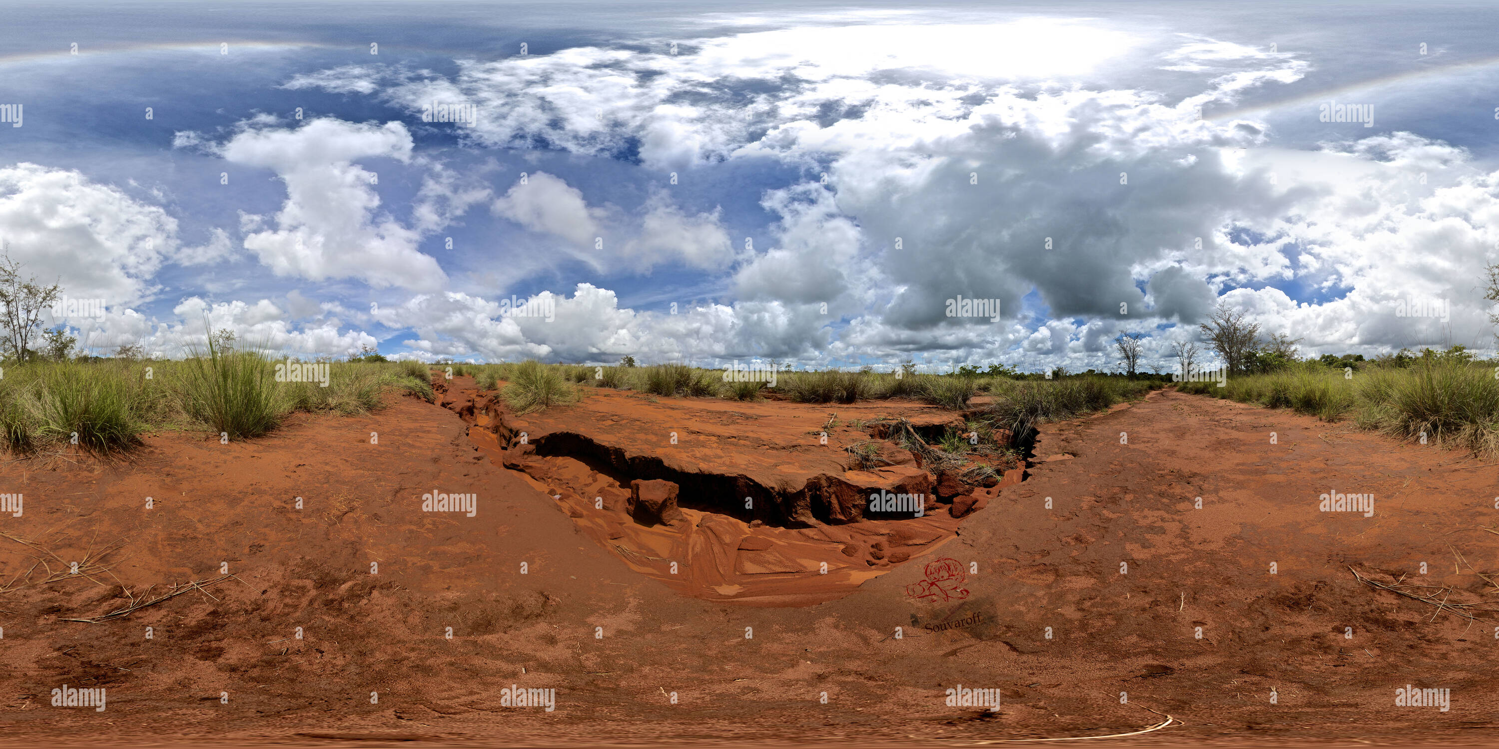 360° view of Ankarafantsika Desert, Madagascar - Alamy