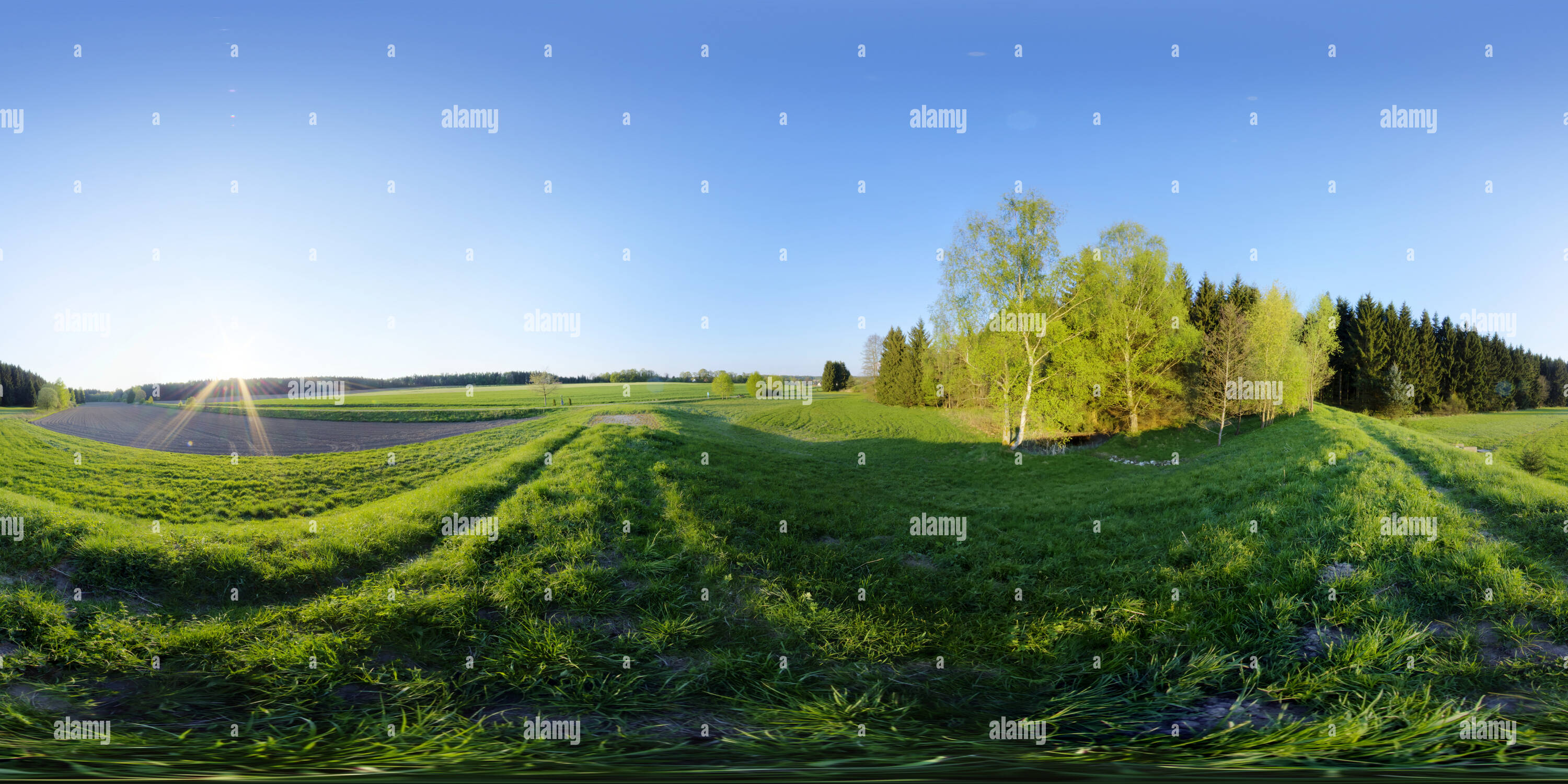 Aystetten hi-res stock photography and images - Alamy