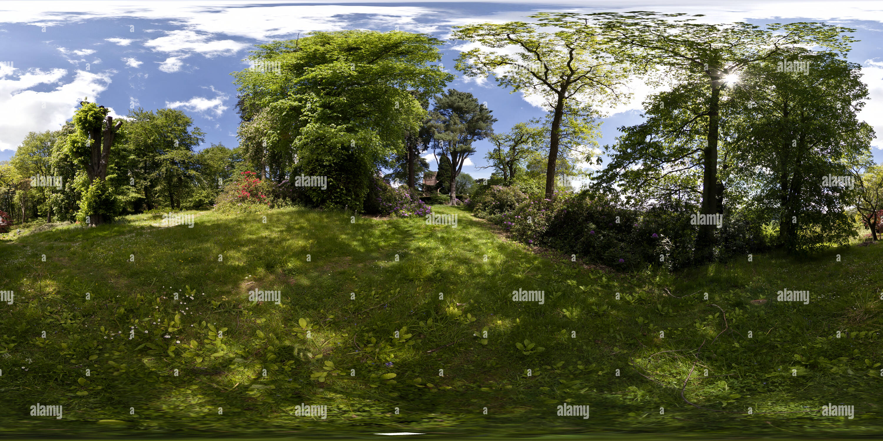 Arley arboretum hi-res stock photography and images - Alamy