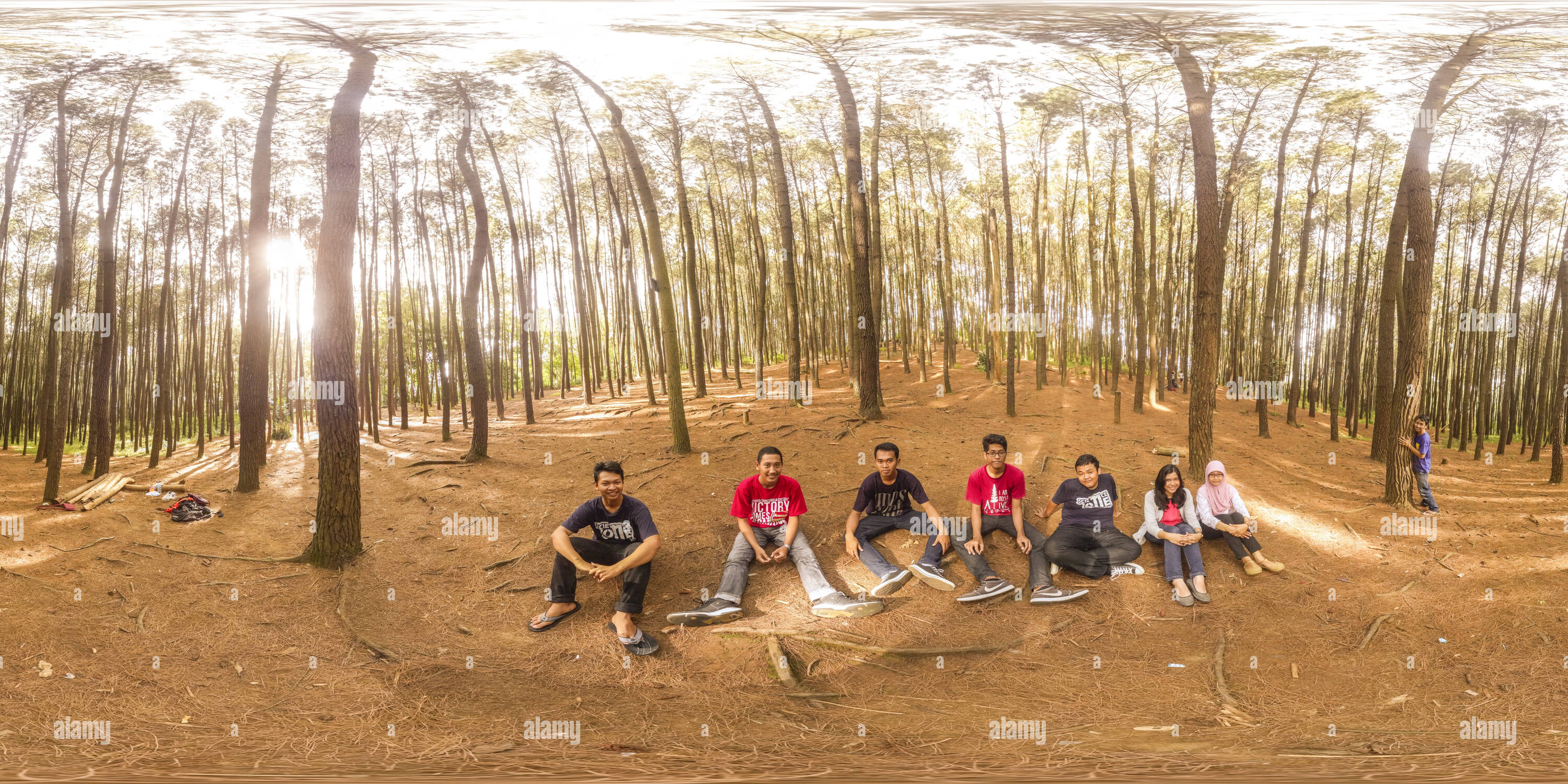 360° view of Pine Forest with My Friend - Alamy