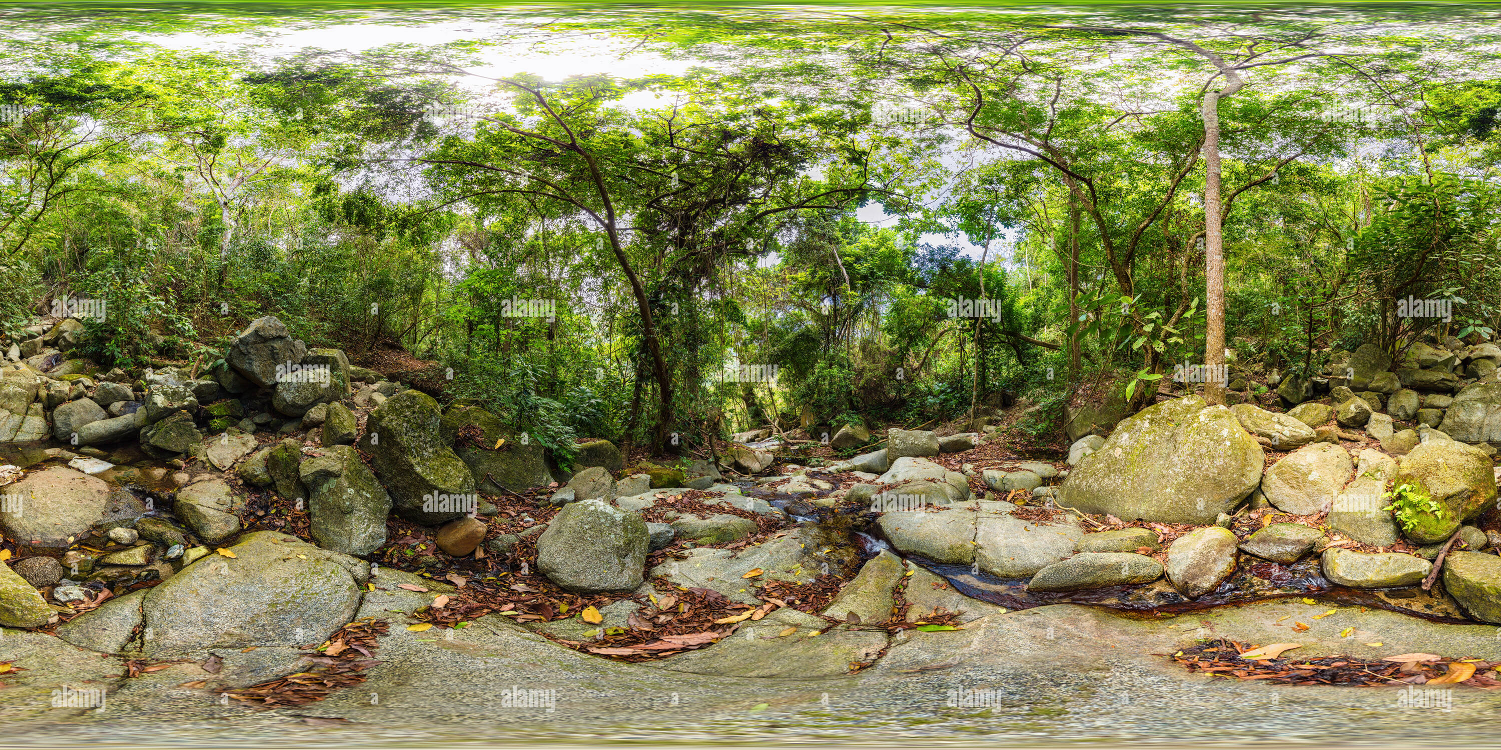 360° view of Walking through the Jungle to Playa Brava, in Tayrona ...