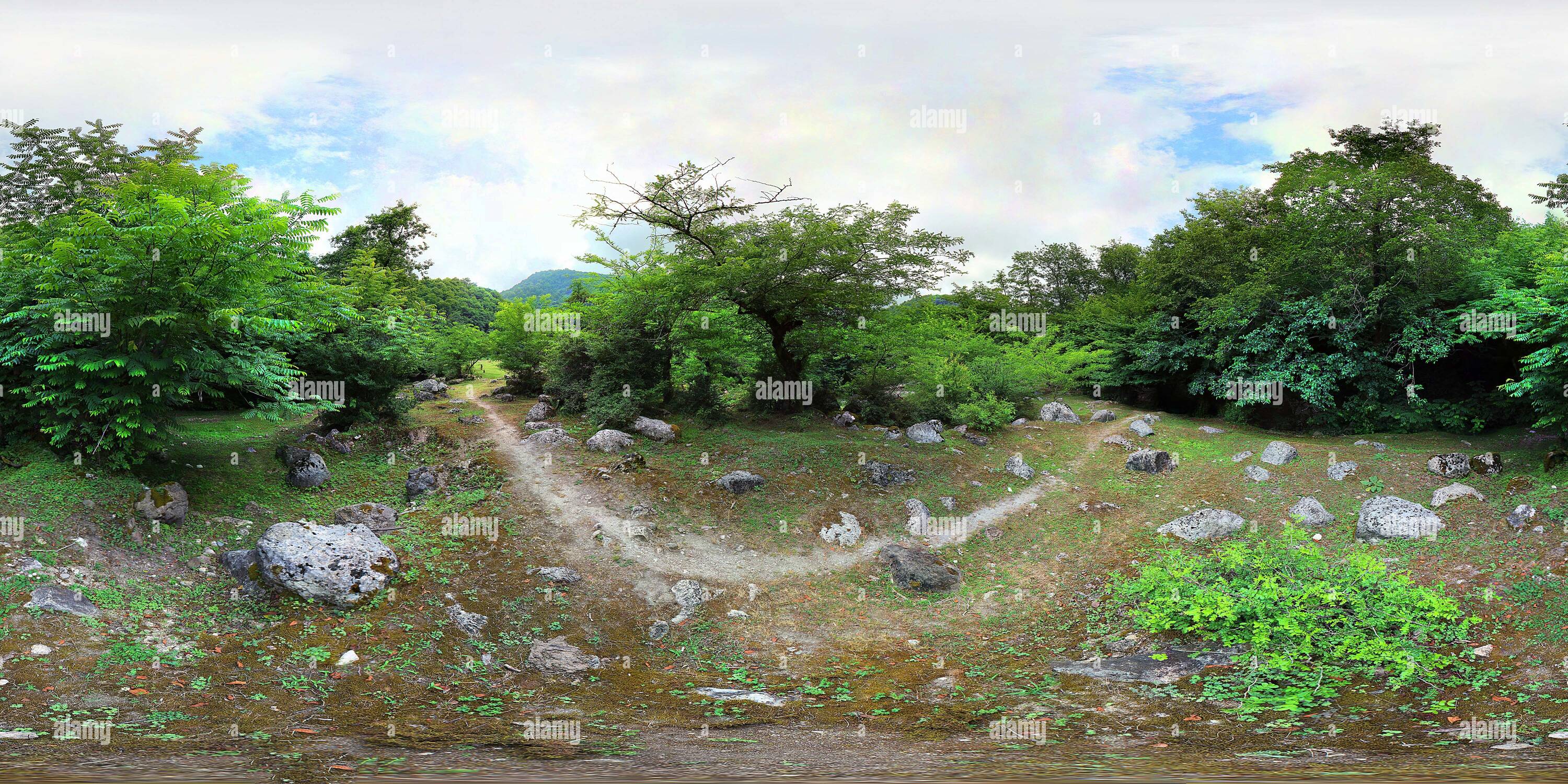 Zavat hi-res stock photography and images - Alamy