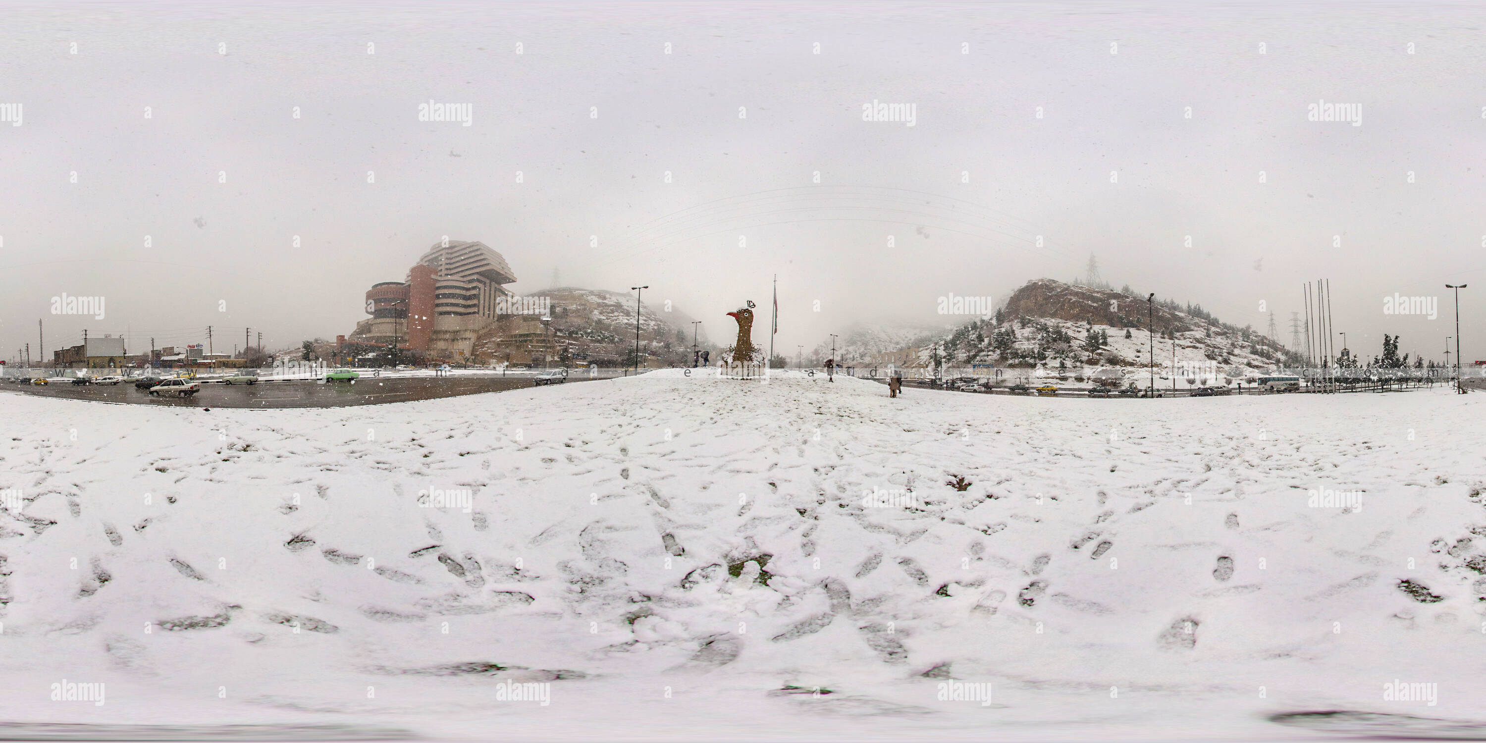 360° view of Flower Peacock Square - Alamy
