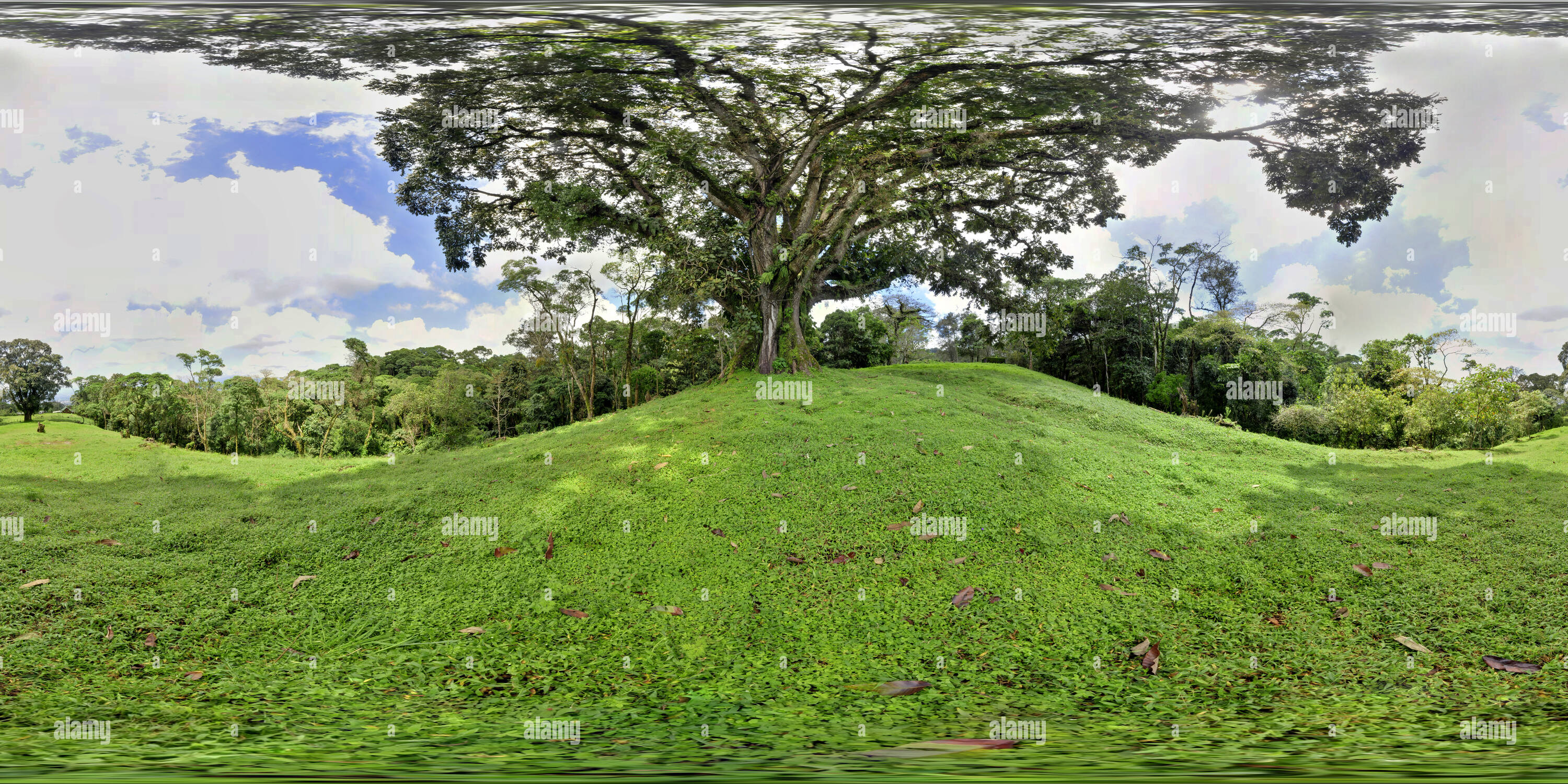 Pie de monte hi-res stock photography and images - Alamy