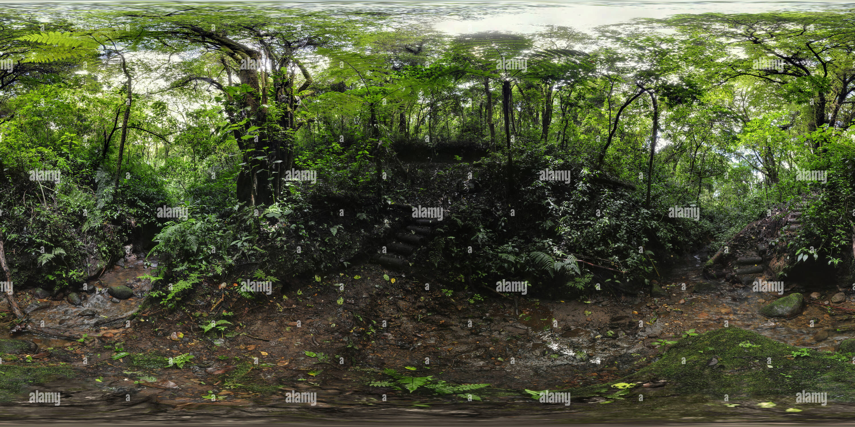 Pie de monte hi-res stock photography and images - Alamy