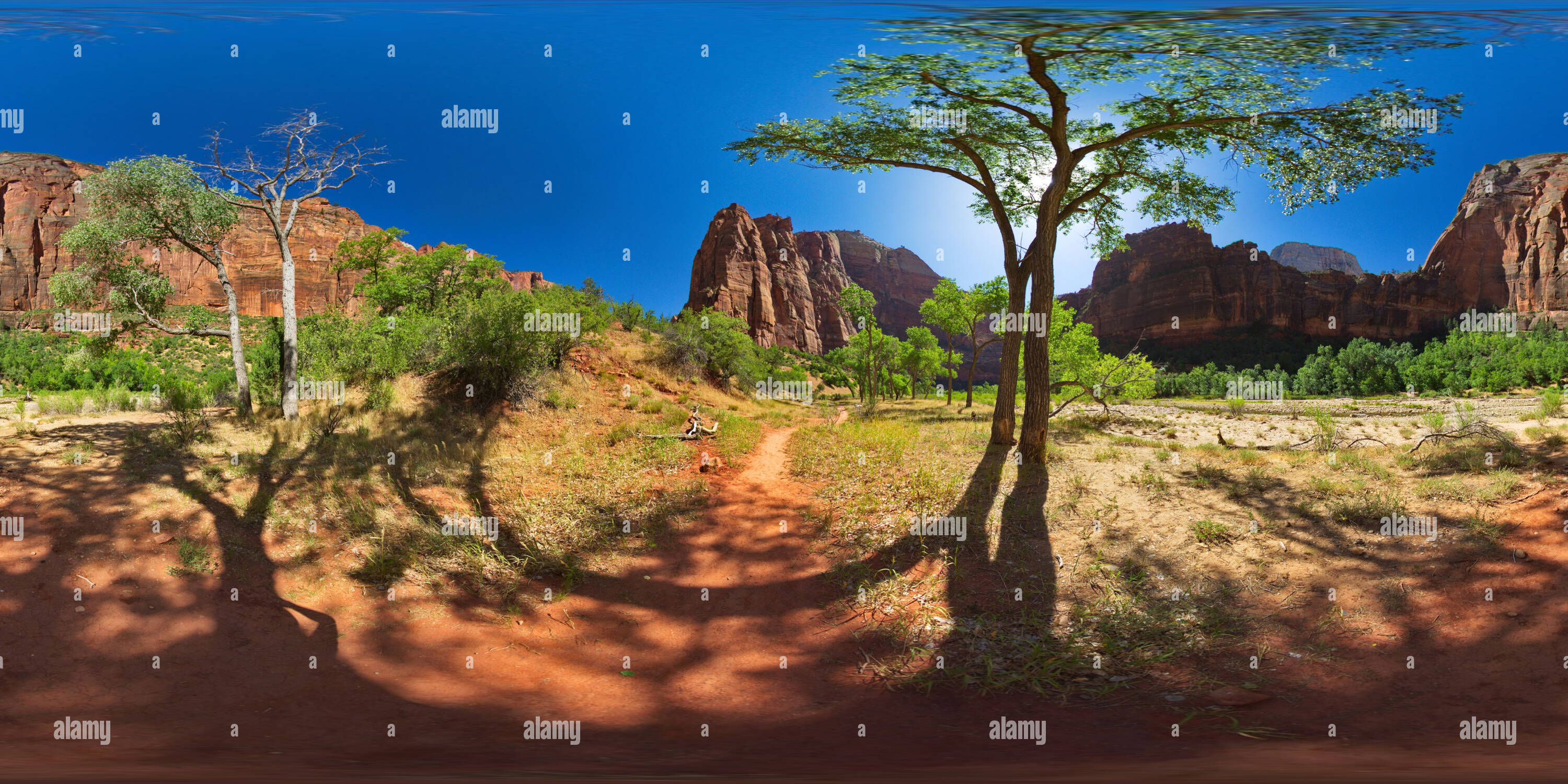 360° view of Zion - Angel Landing - Alamy