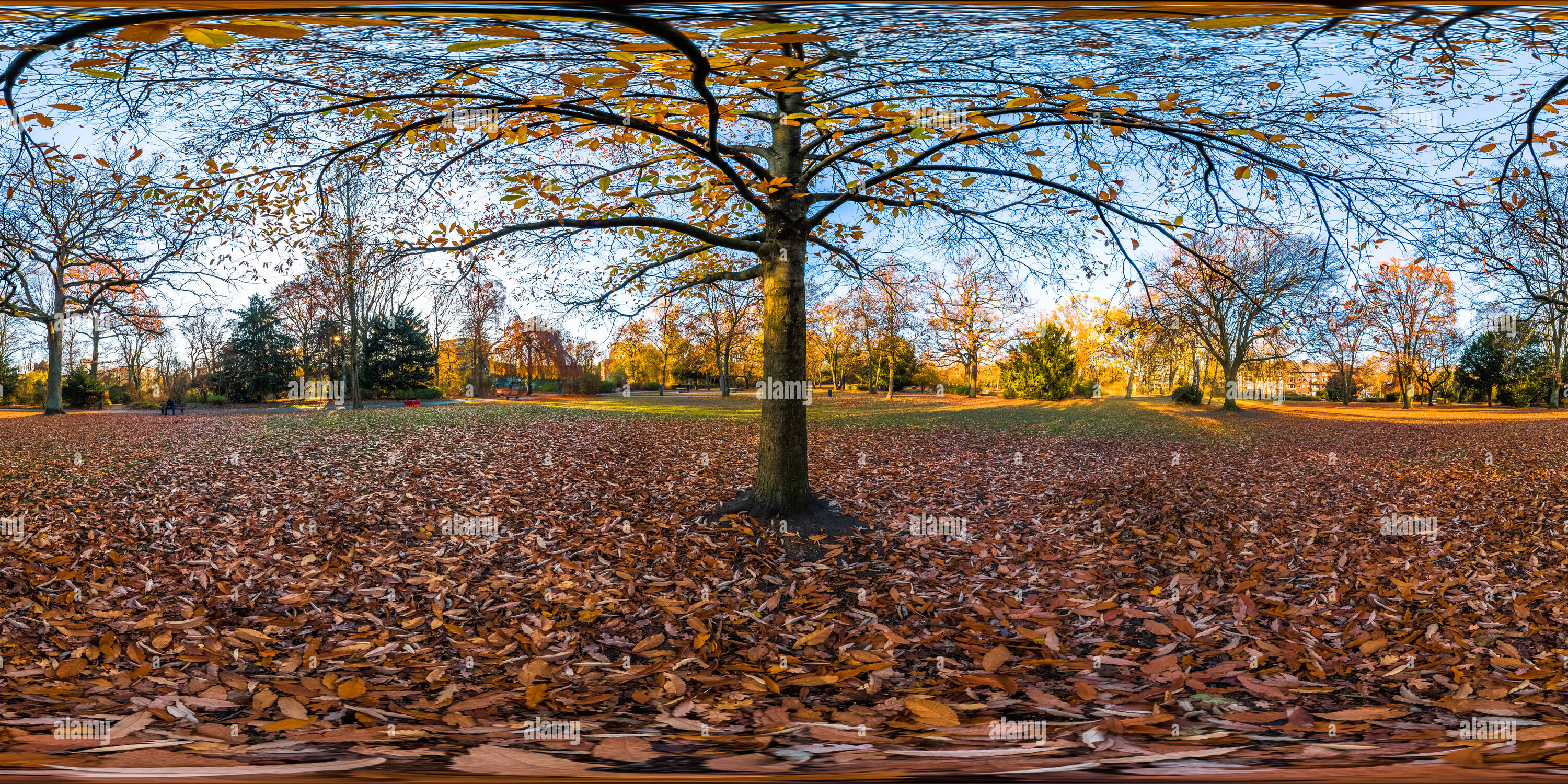 360° view of Change of Seasons - Fall 02 - Alamy