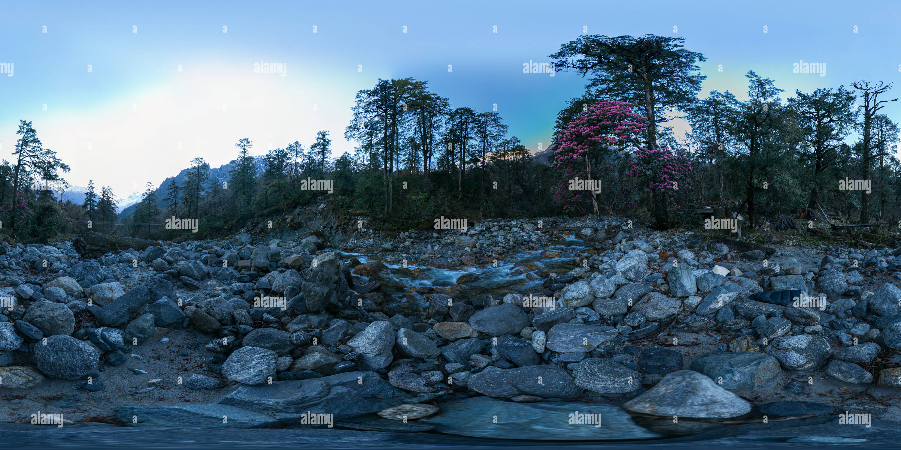 Timang nepal hi-res stock photography and images - Alamy