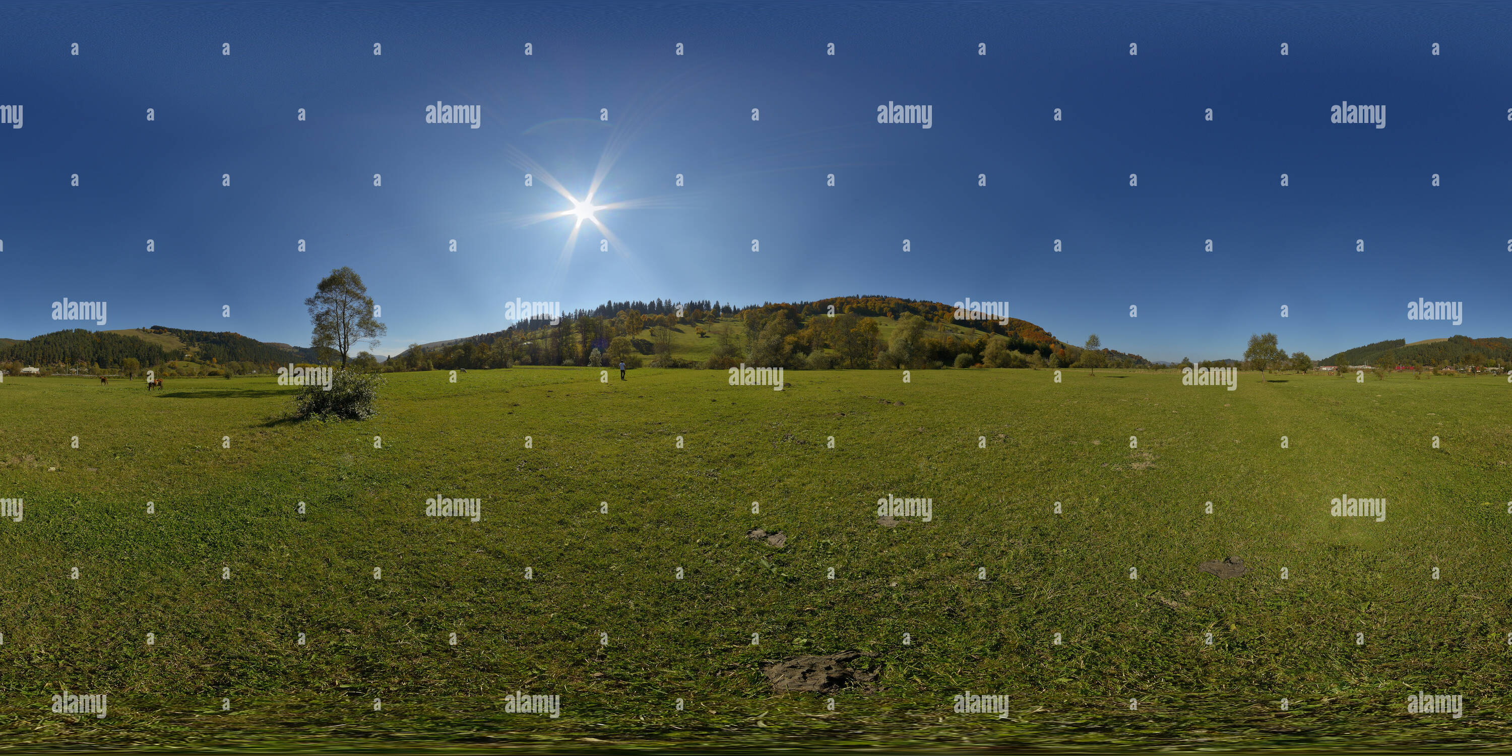 Bradet hi-res stock photography and images - Alamy