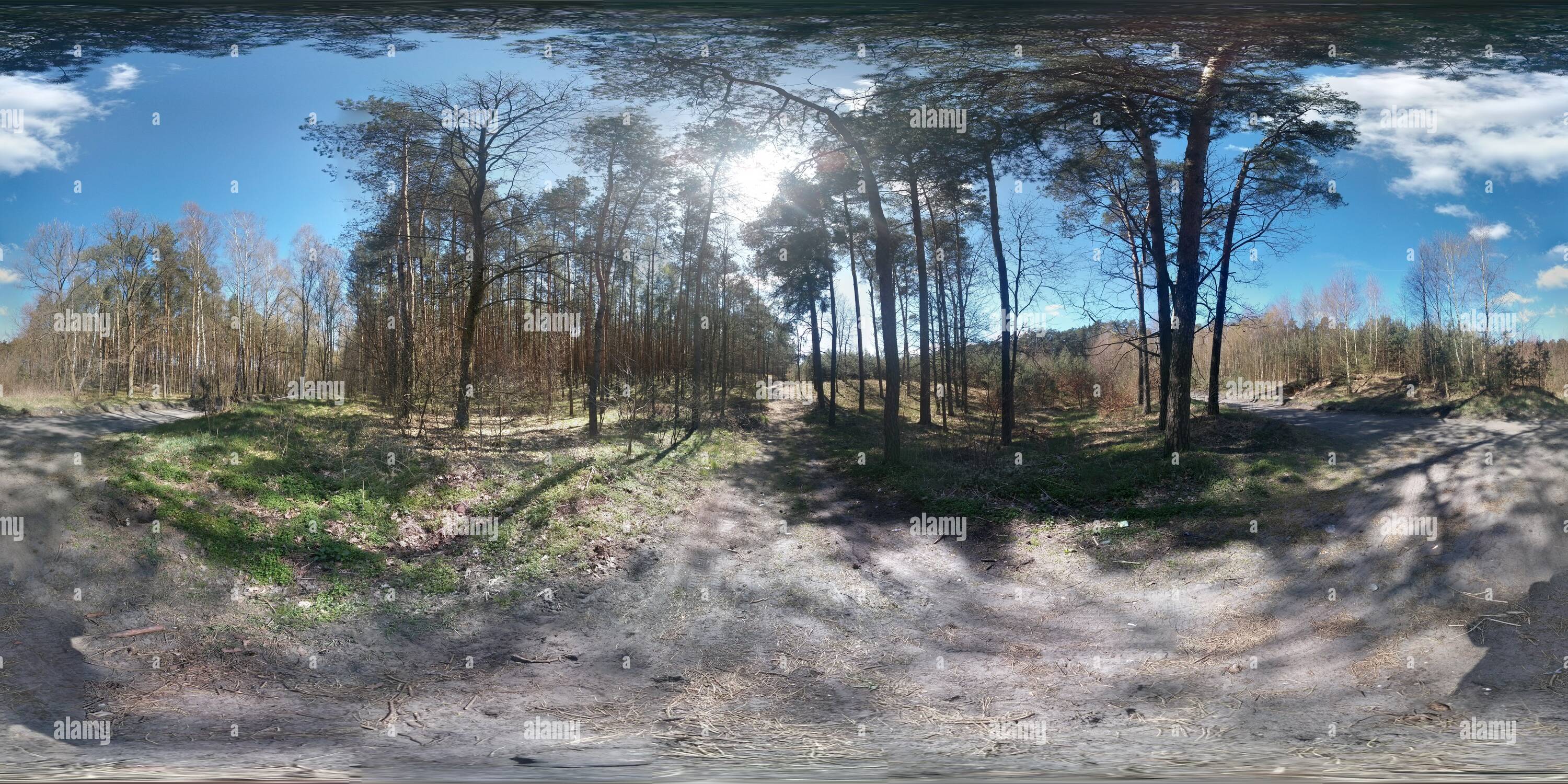 360° view of sphere in forest - Alamy