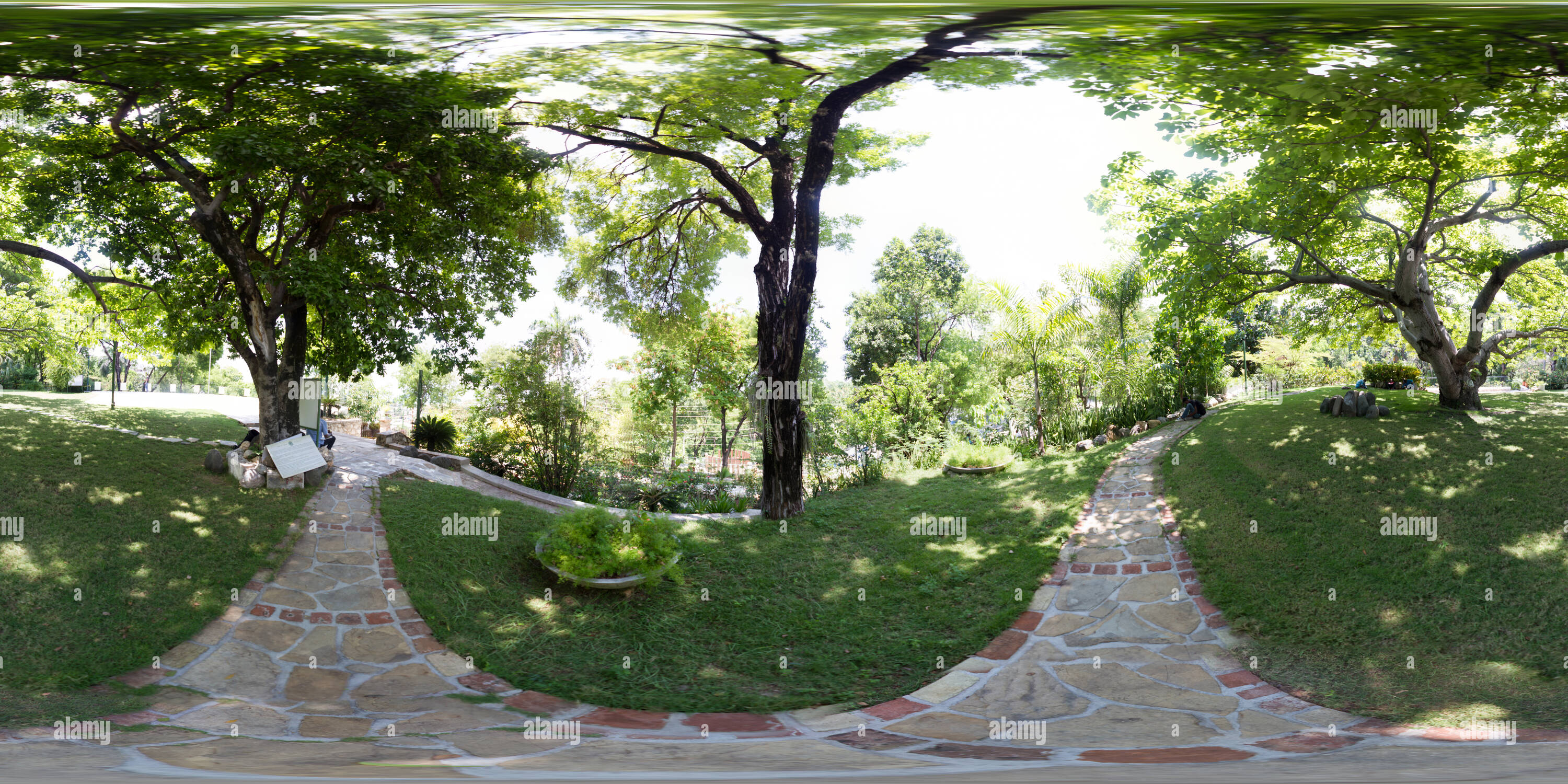 Martissant hi-res stock photography and images - Alamy