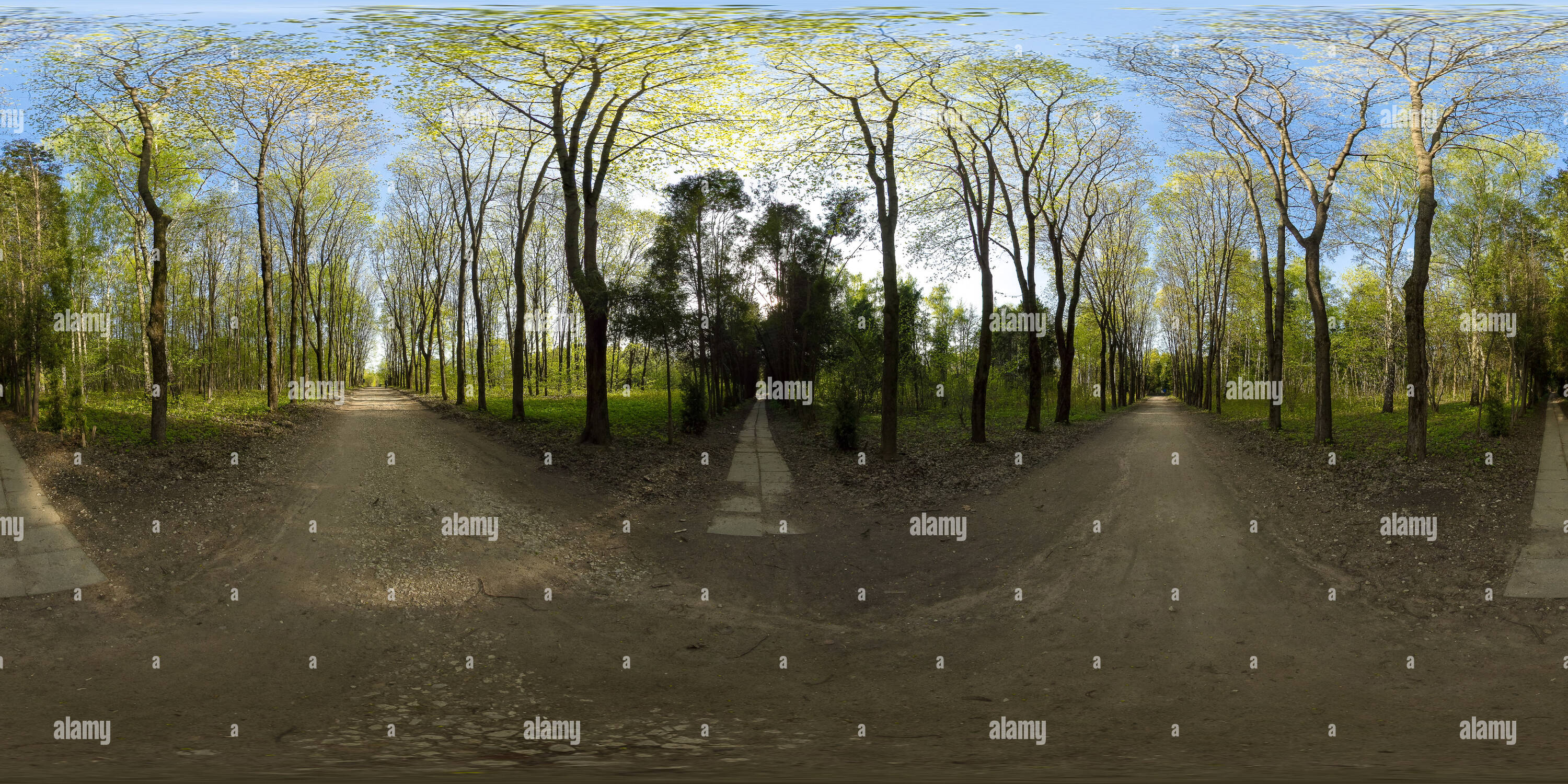 Biruliovsky arboretum hi-res stock photography and images - Alamy