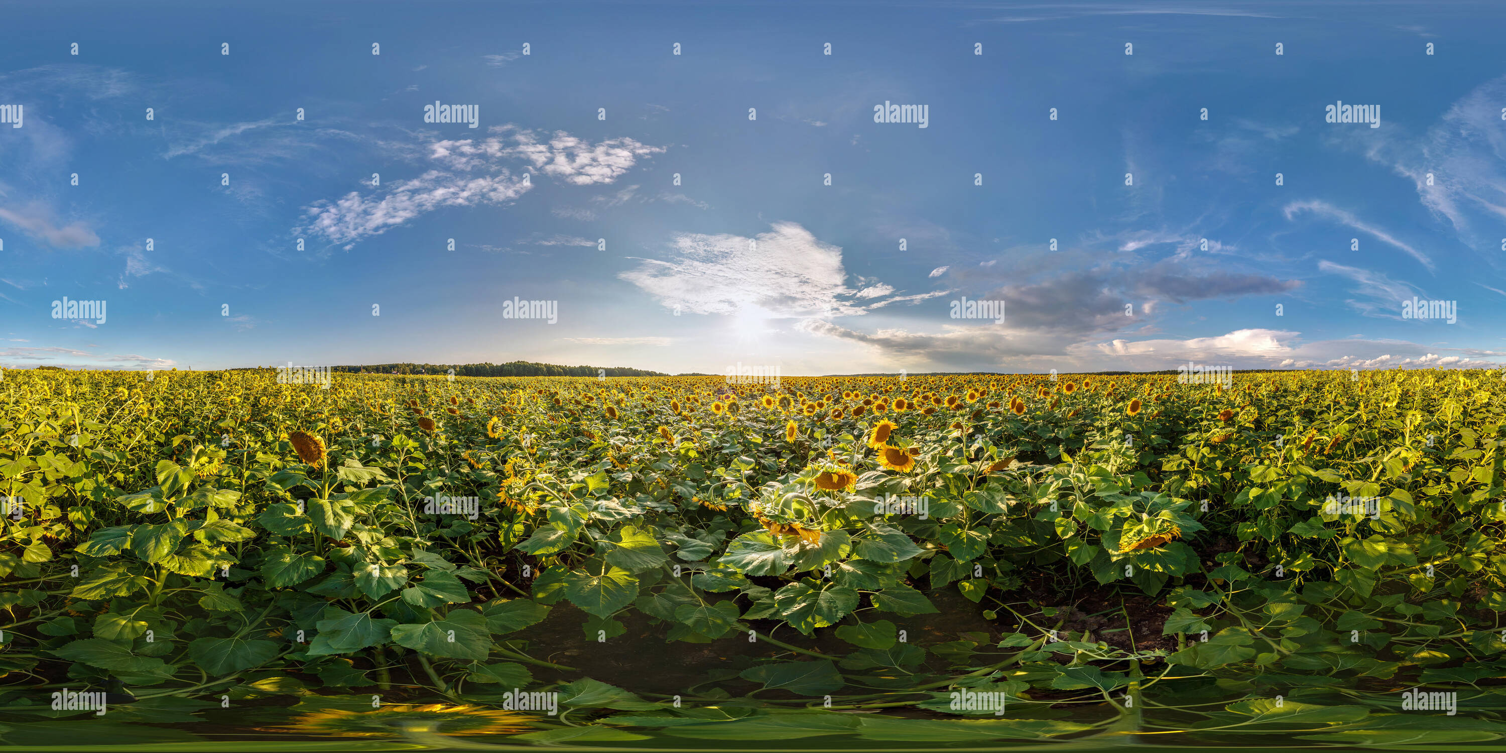 180 degrees angle hi-res stock photography and images - Alamy