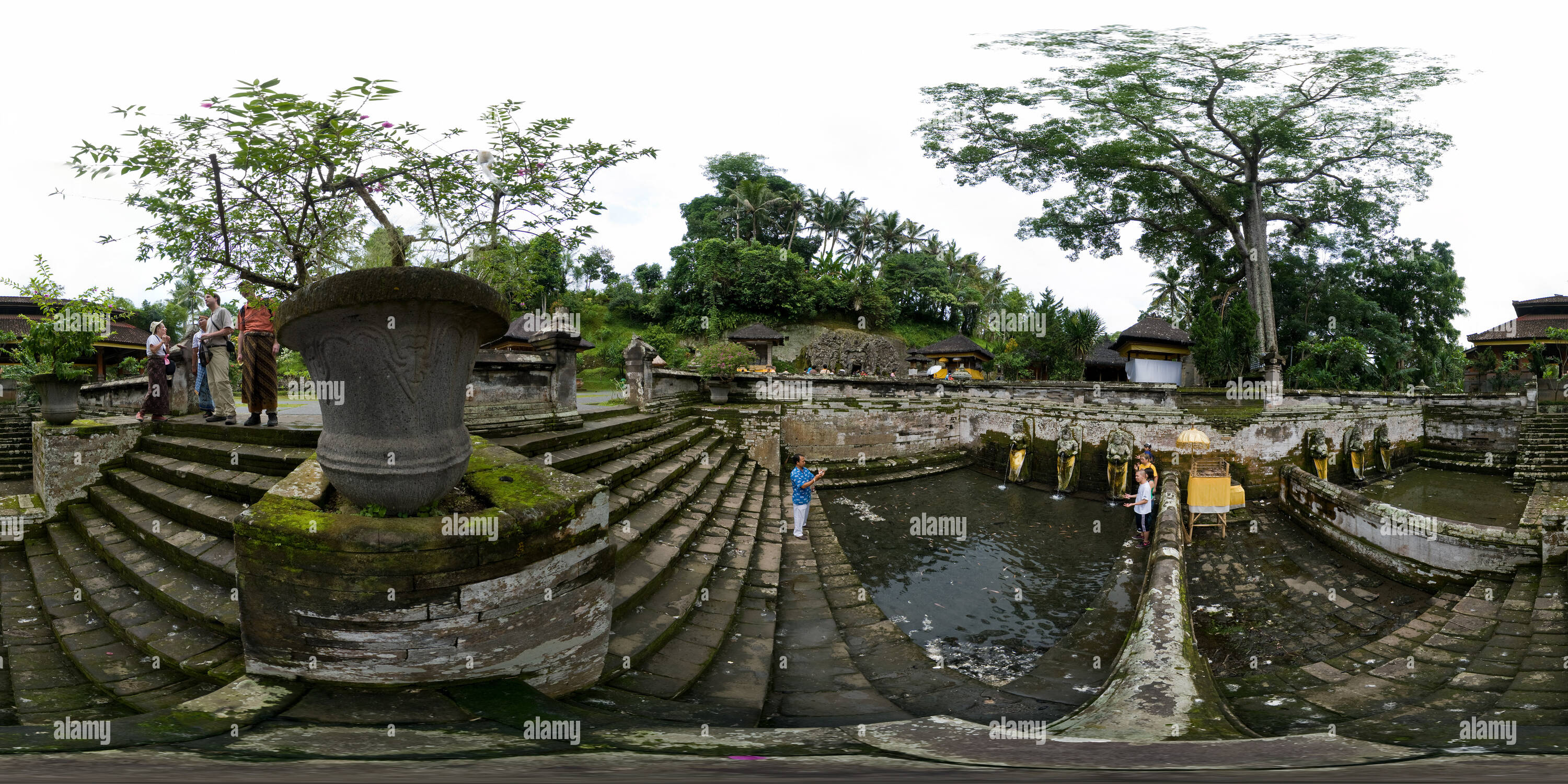 360° view of Ancient swimming pool in the middle of jungle - Alamy