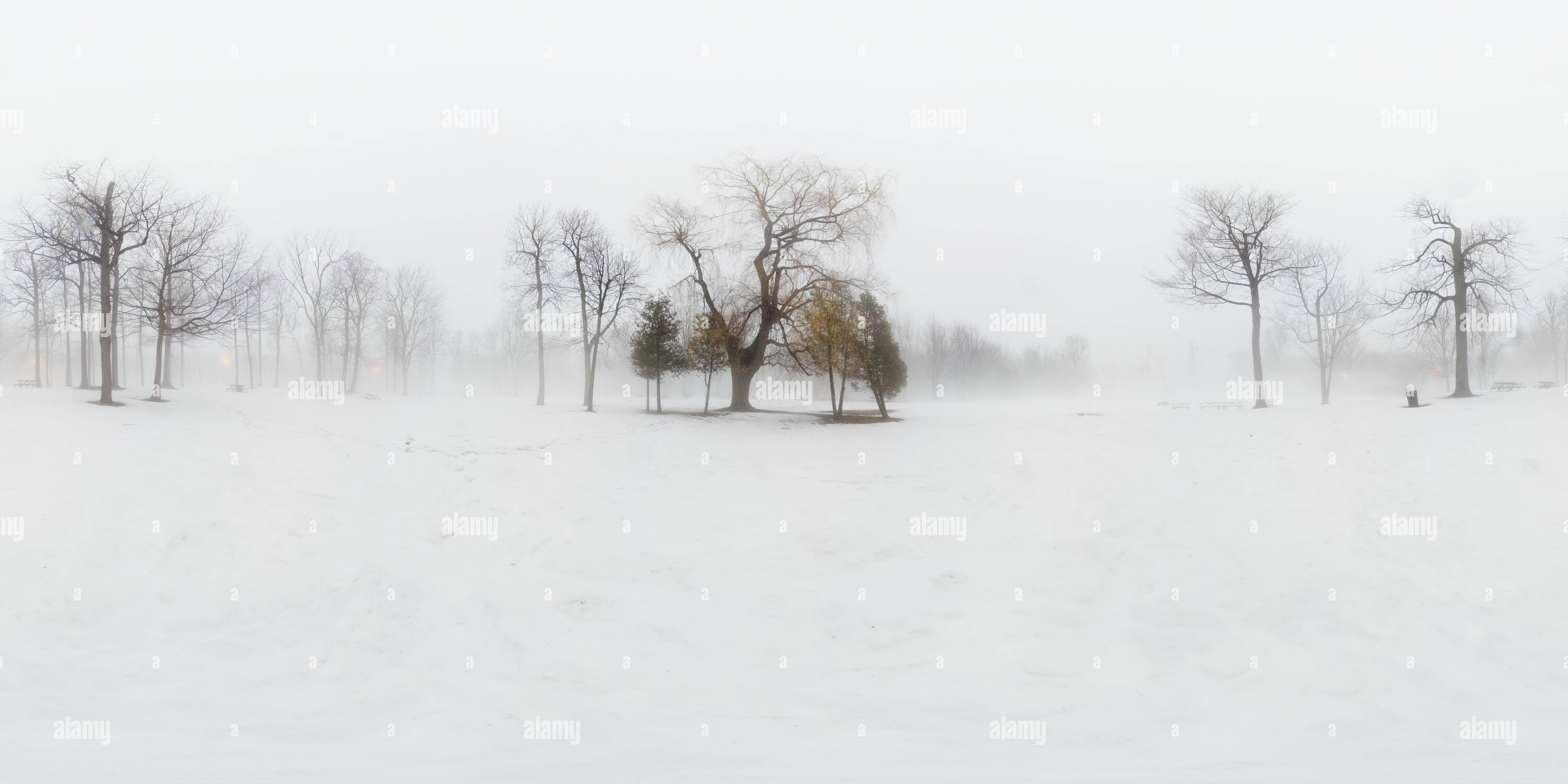 Angrignon hi-res stock photography and images - Alamy