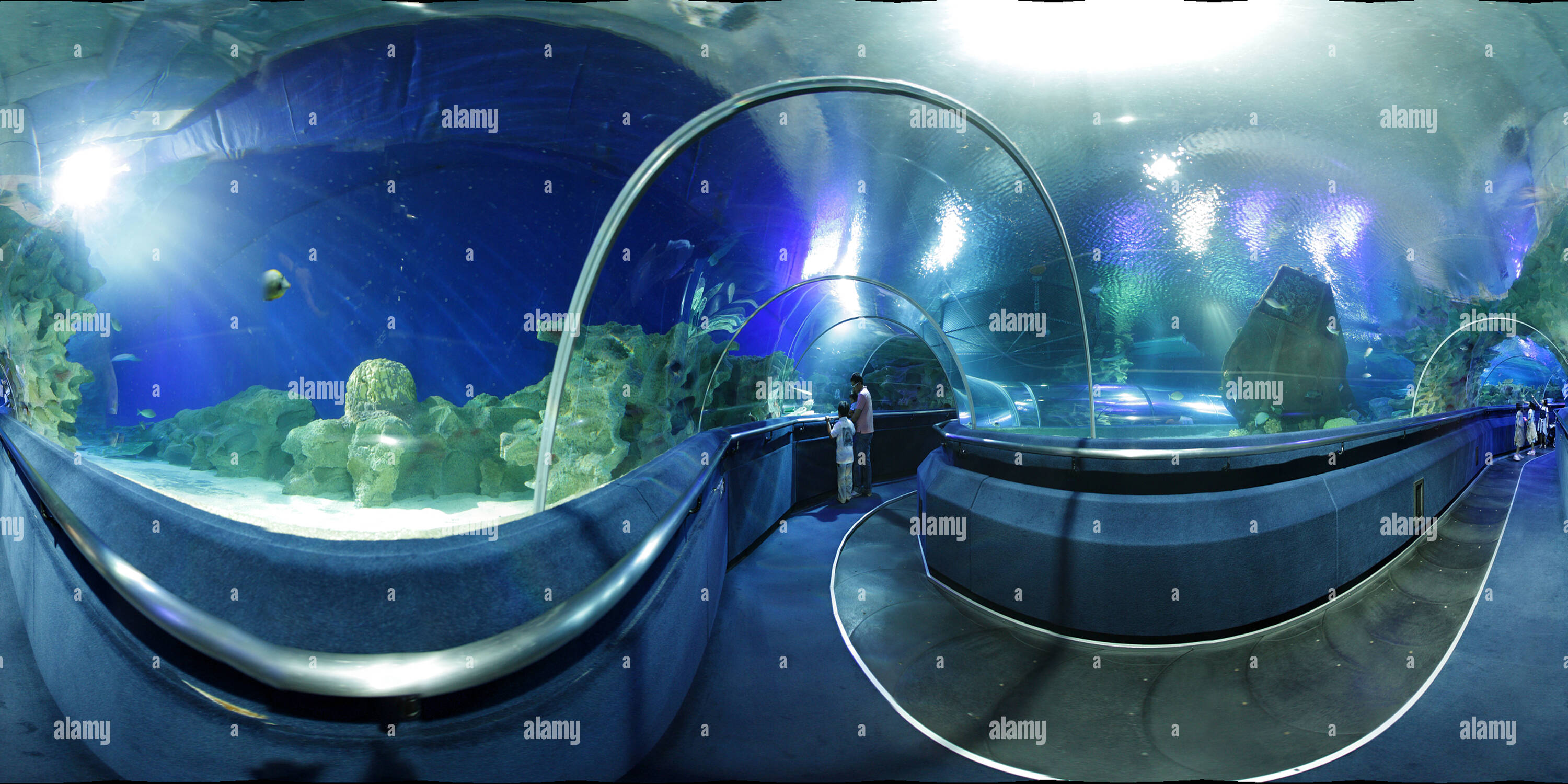 Klcc aquarium hi-res stock photography and images - Alamy