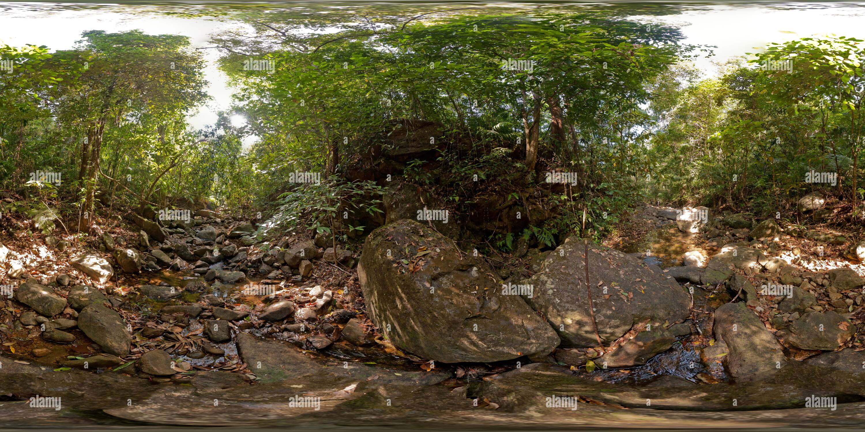 360° view of Thailand Ko Chang Jungle - Alamy