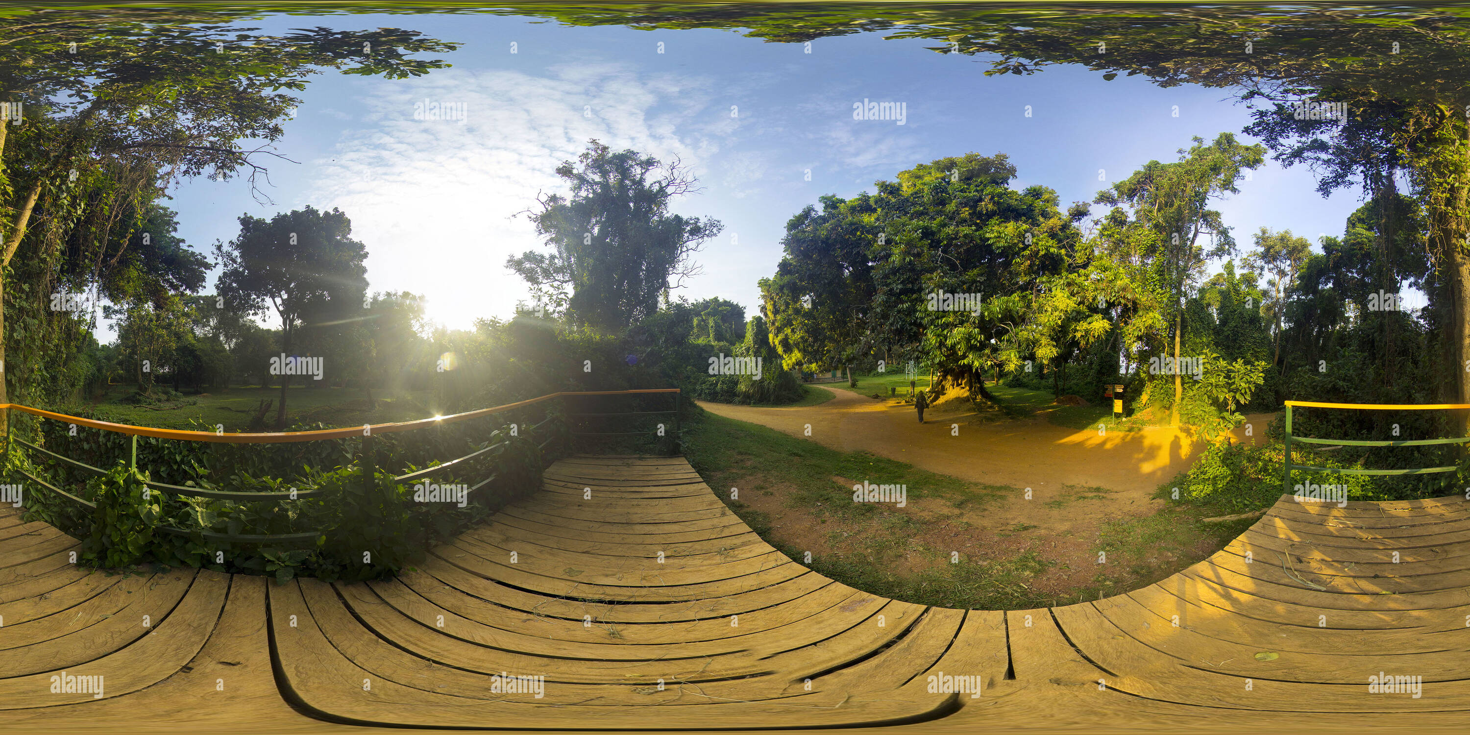 360° view of Beautiful forest area in the zoo - Alamy