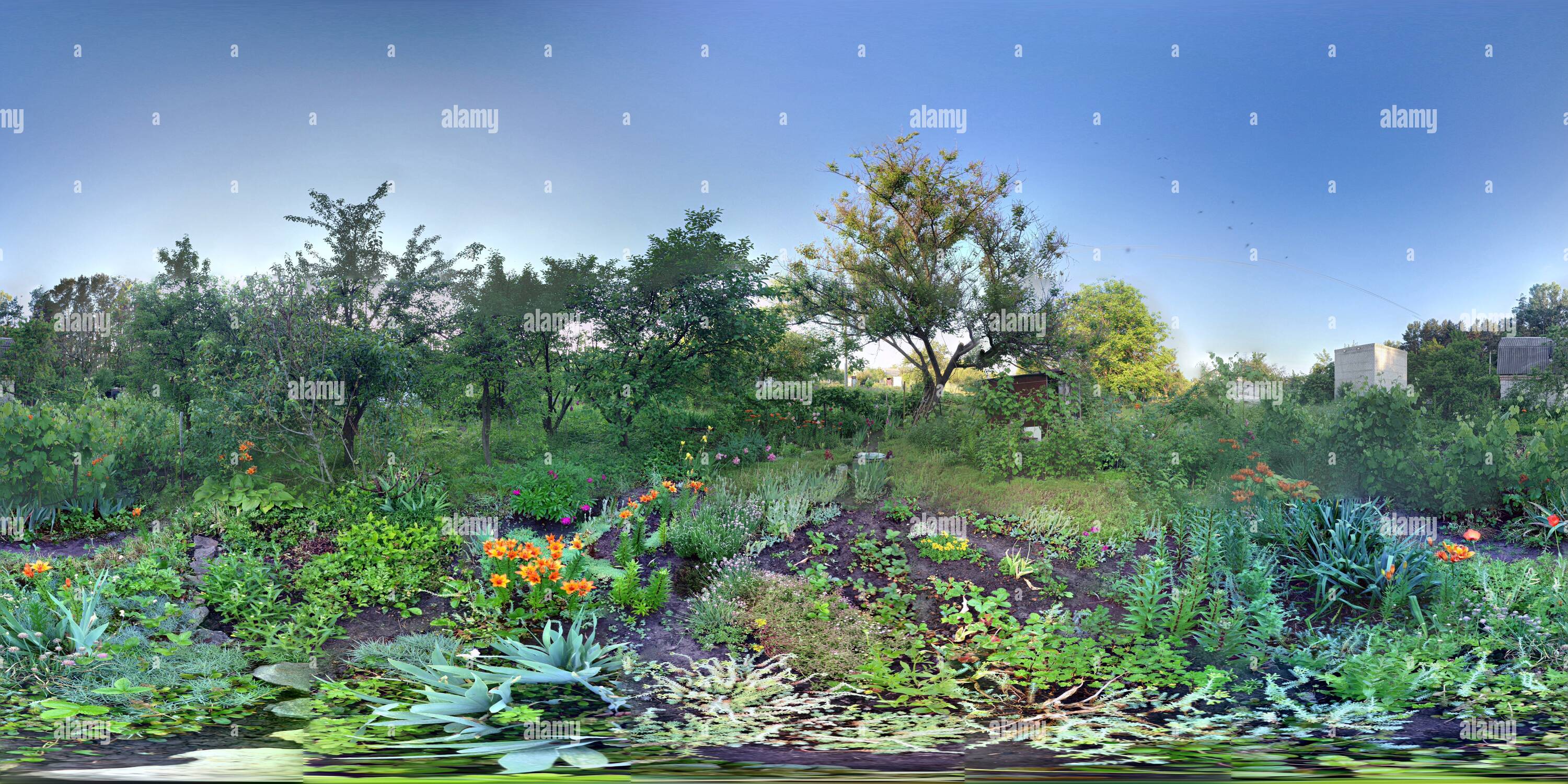 Dachi hi-res stock photography and images - Alamy