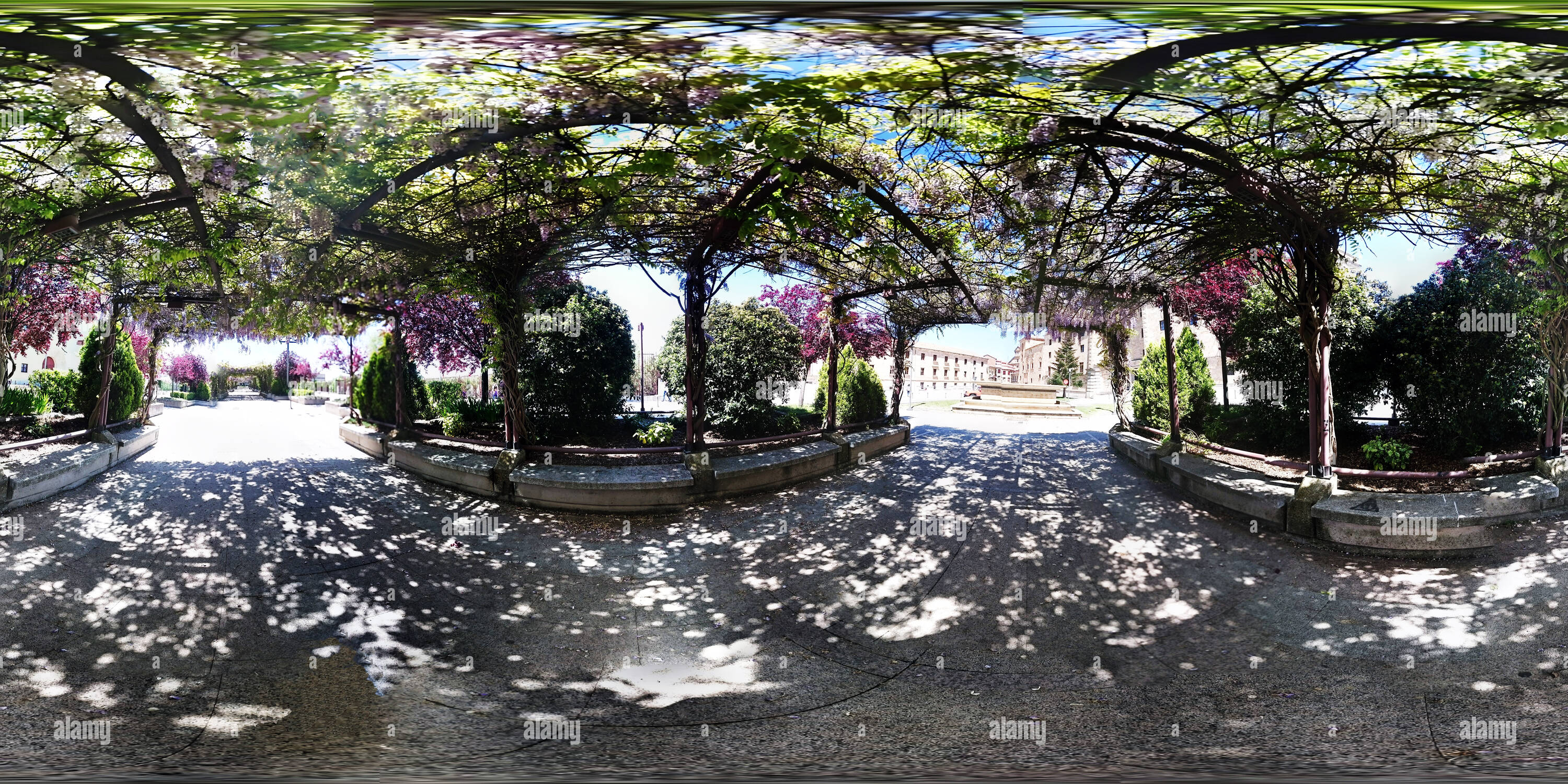 360° view of Lilac walk 01 - Alamy