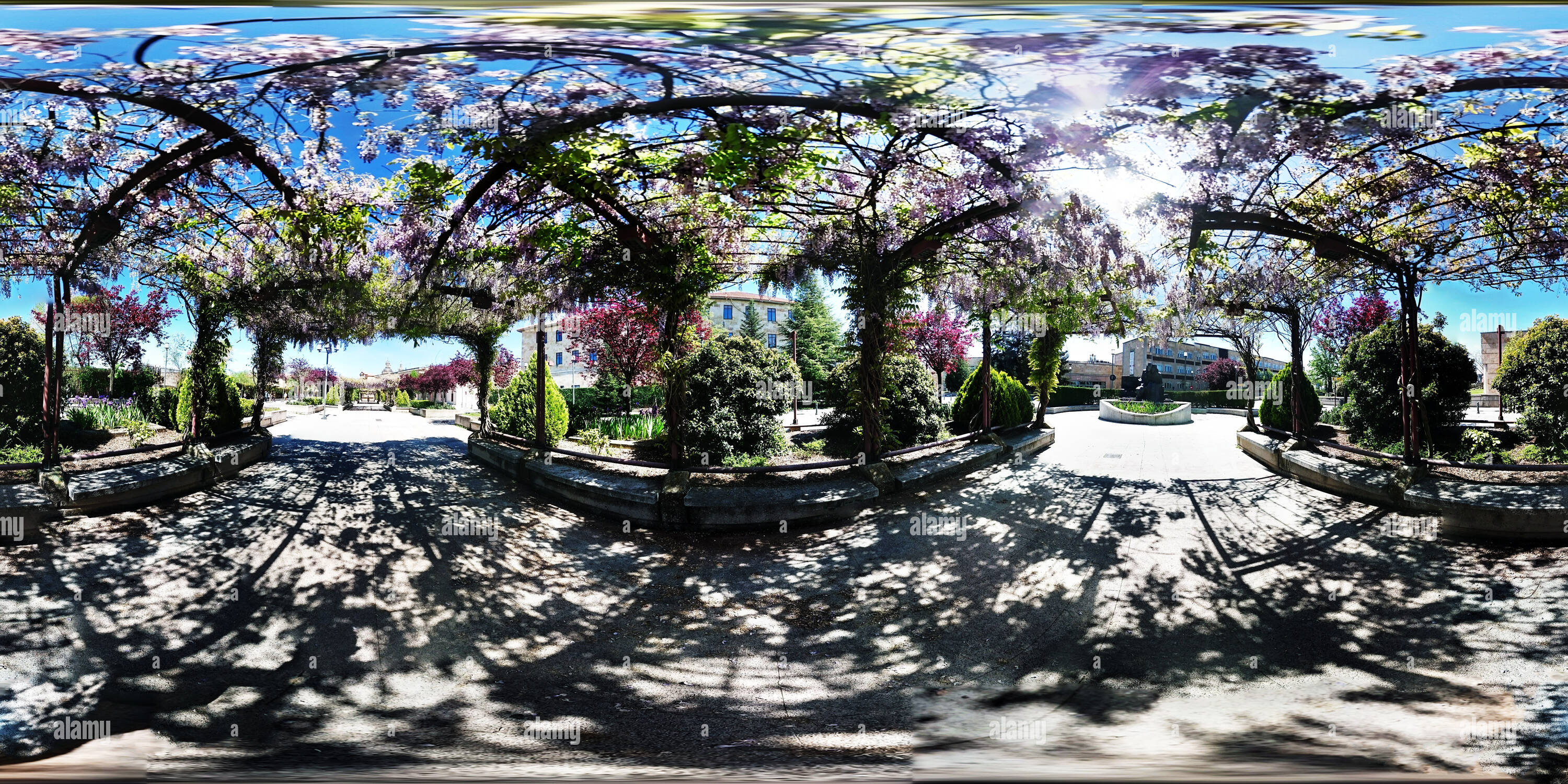 360° view of Lilac walk 04 - Alamy
