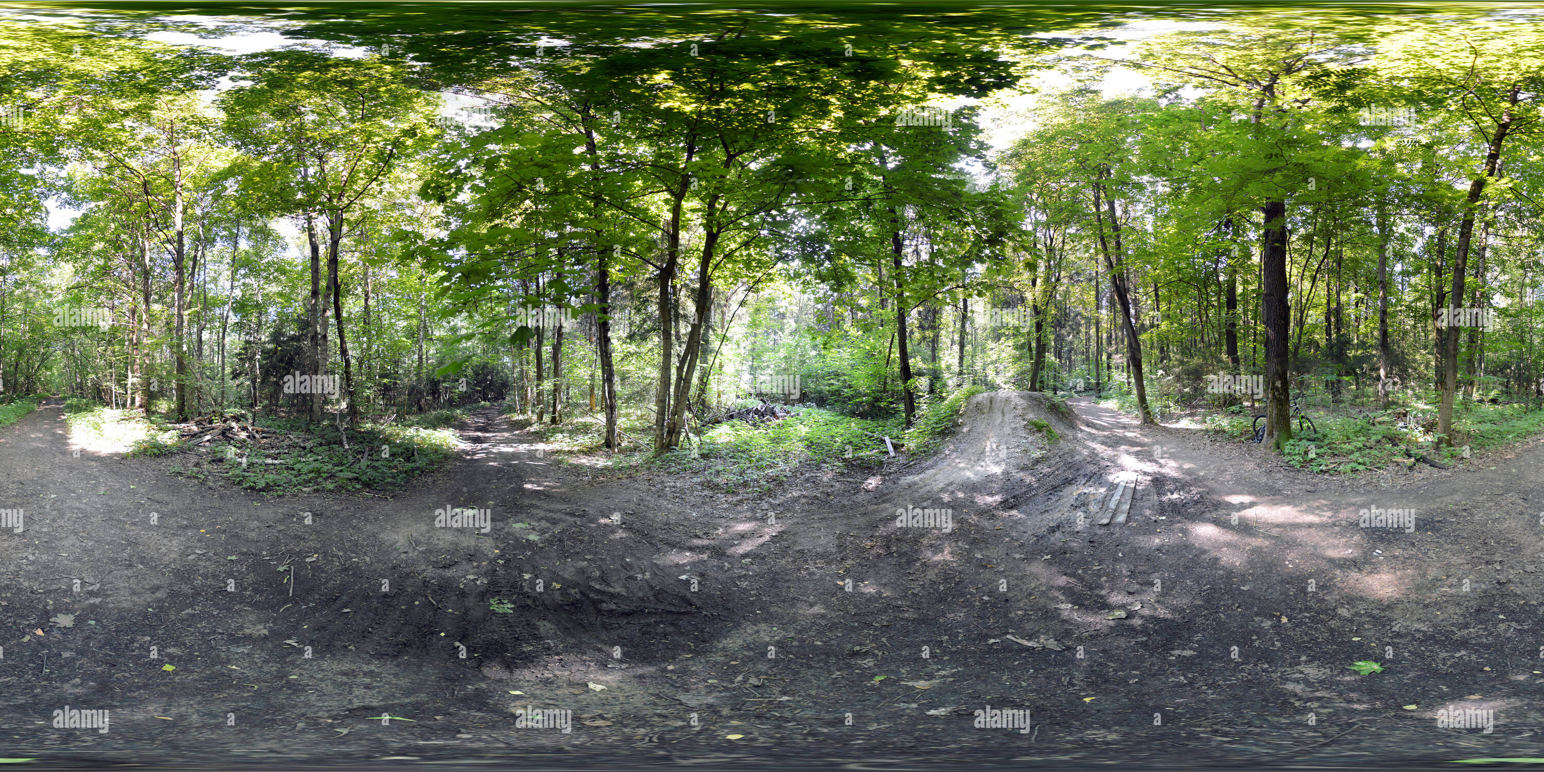 360° view of MTB jump trampoline in forest - Alamy