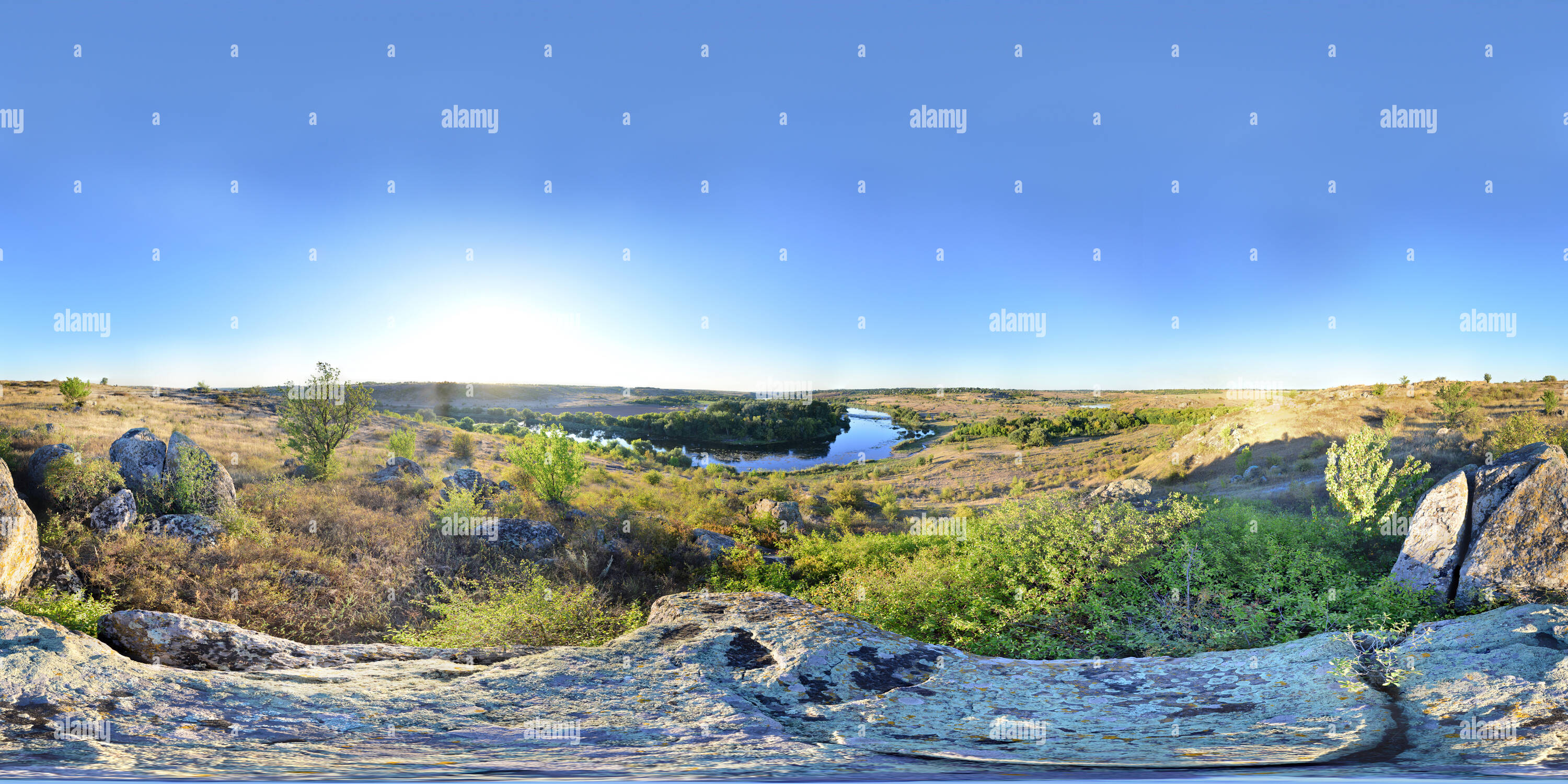 Southern bug hi-res stock photography and images - Alamy