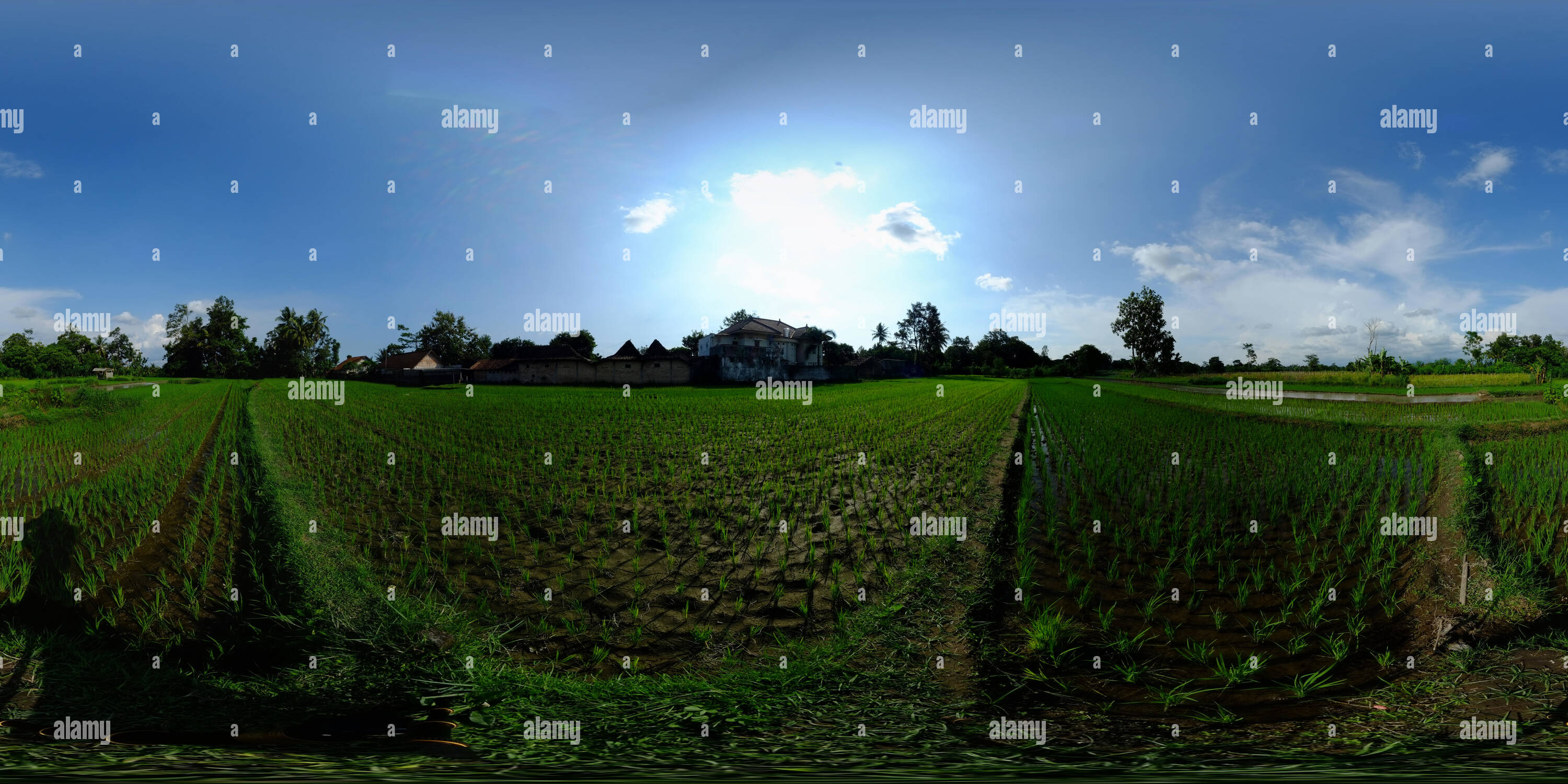 360° view of Kalongan Village 2 - Alamy