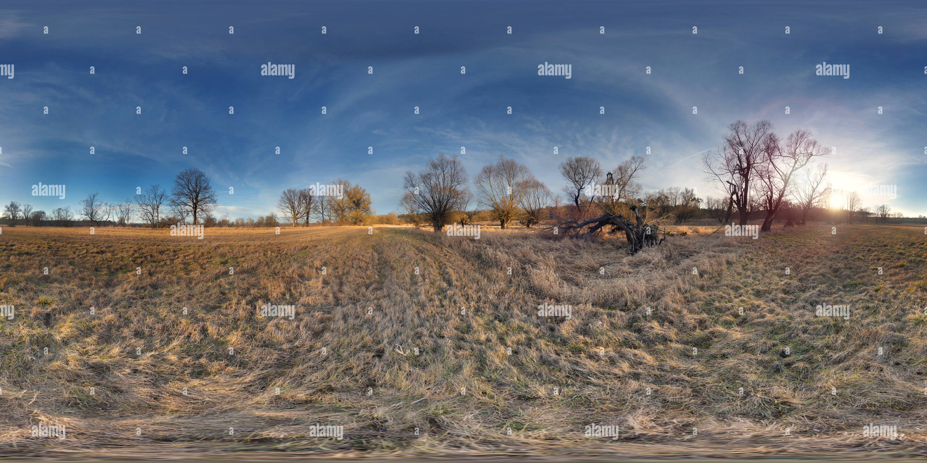 Tarnawa hi-res stock photography and images - Alamy