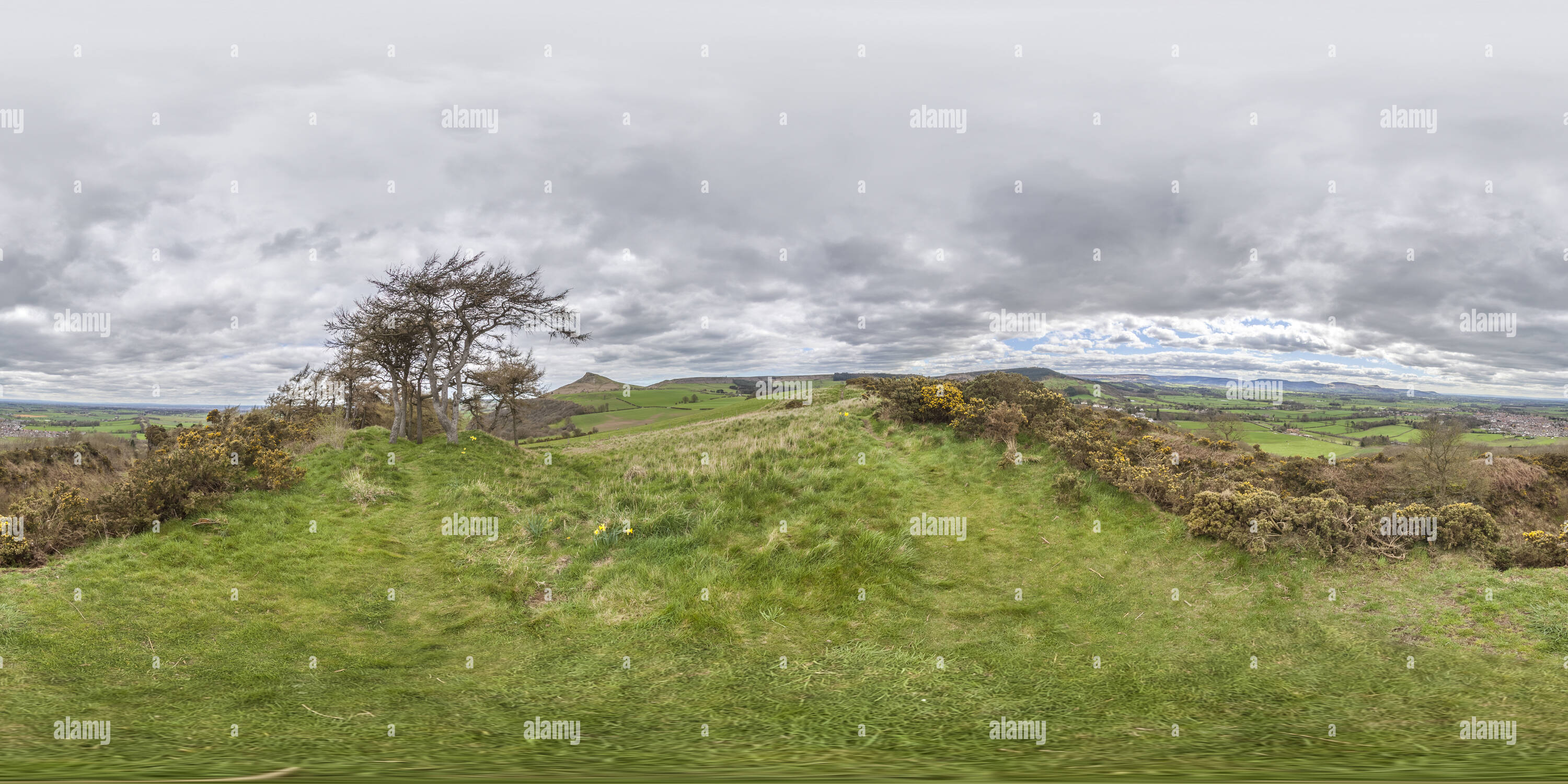 360° view of Roseberry Topping from Cliff Ridge Woods - Alamy