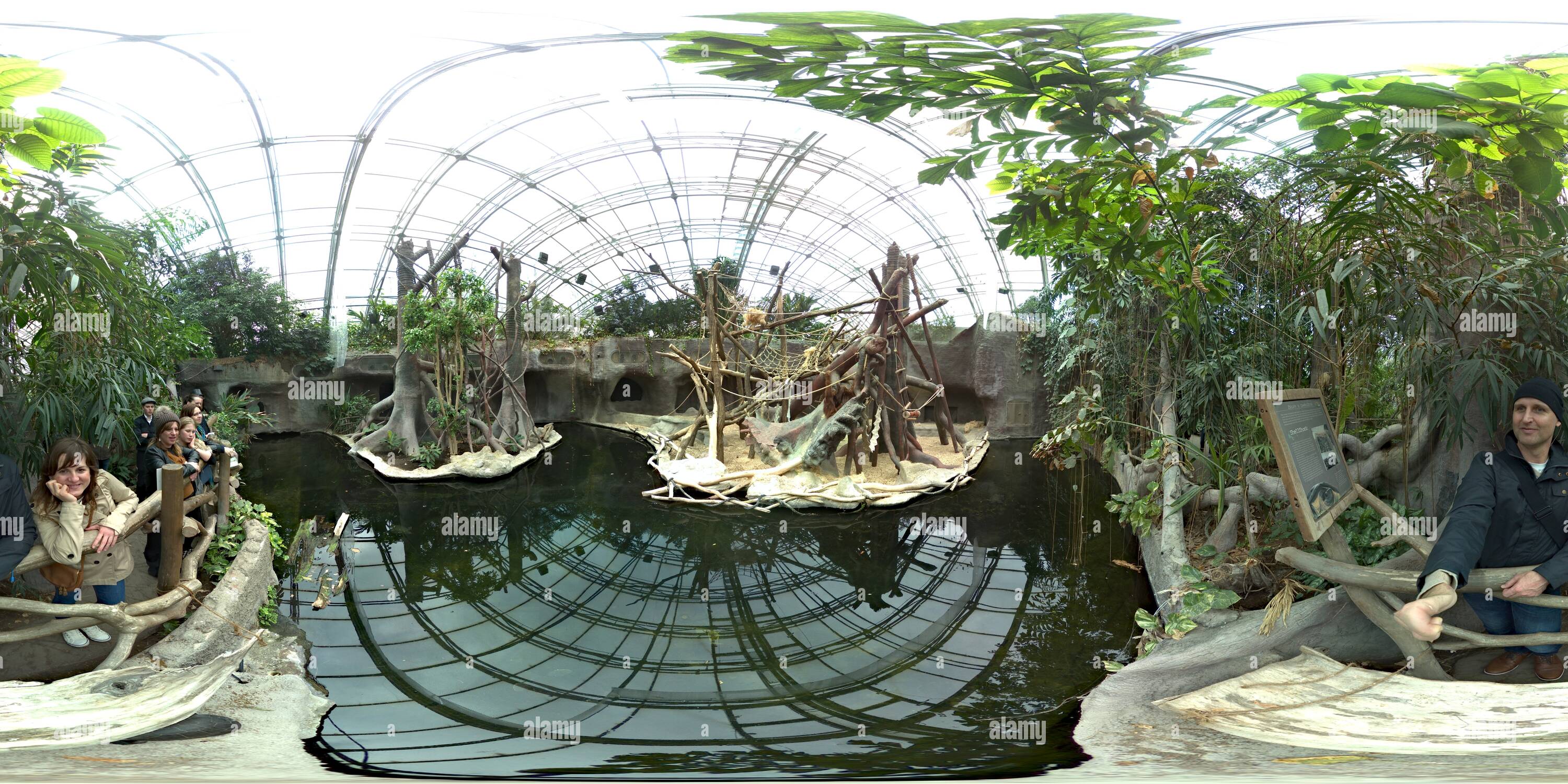 360° view of Indonesia Jungle - Prague Zoo - Alamy