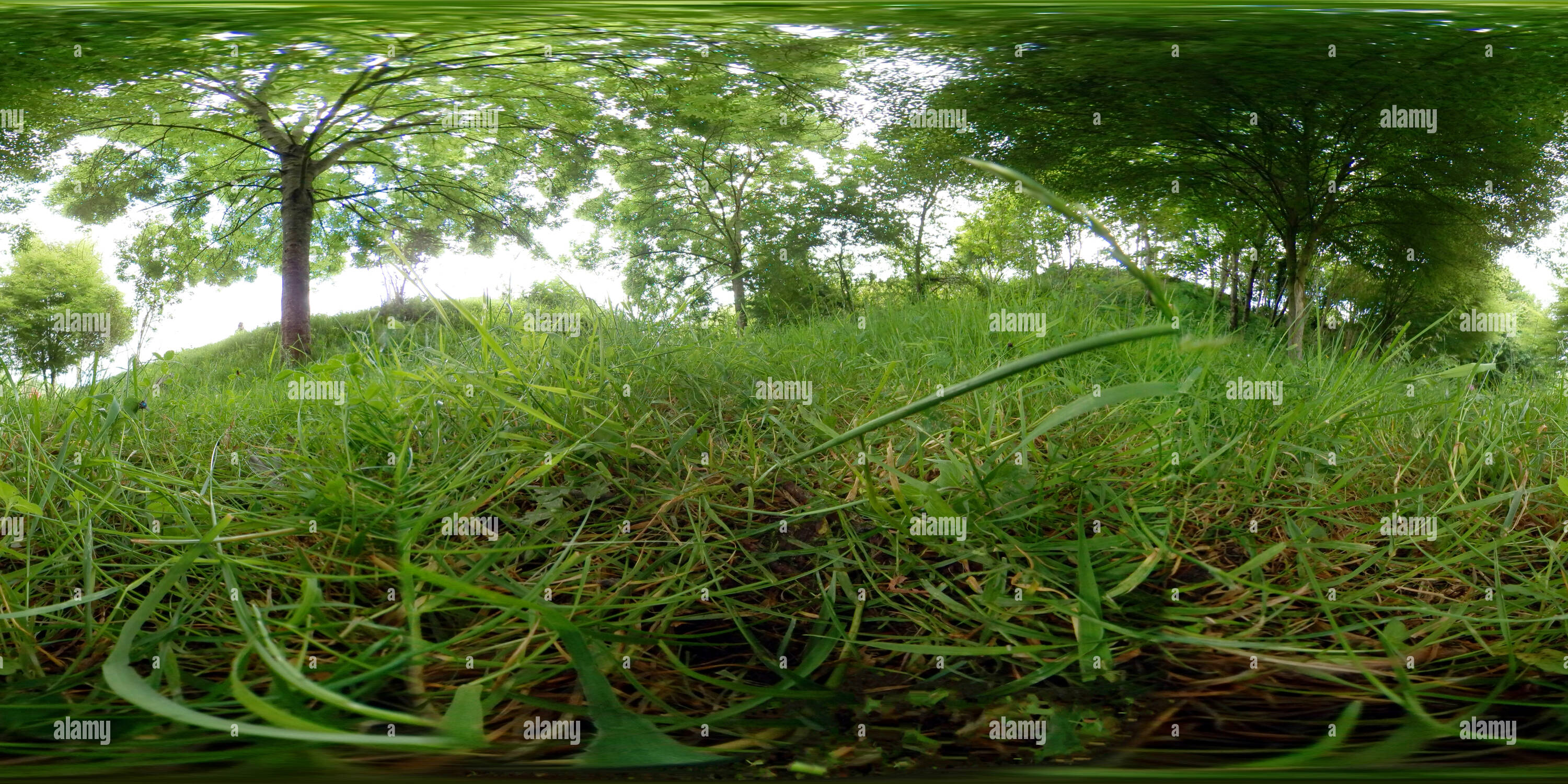 360° view of A hidden corner - Alamy