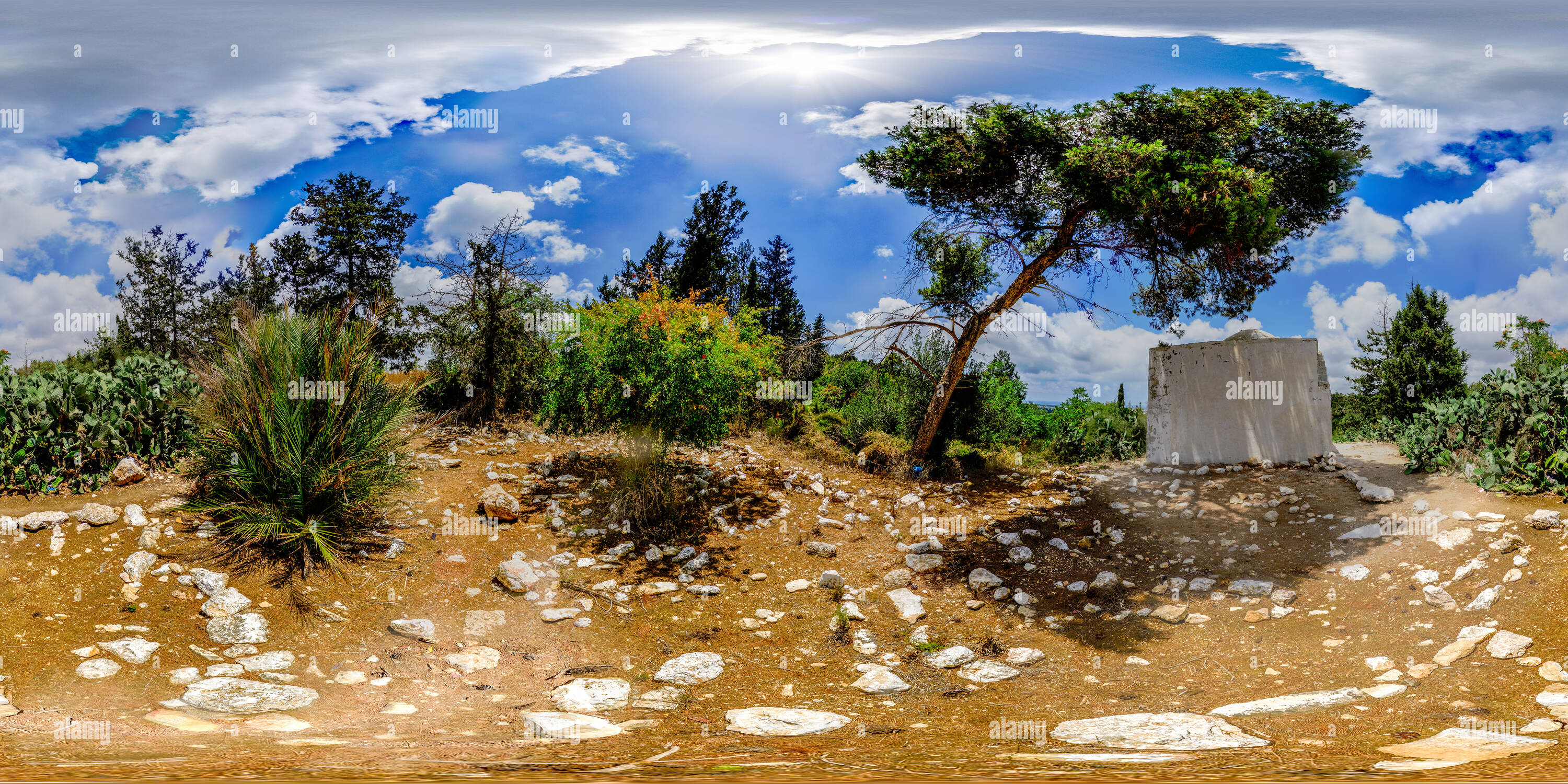 20160616 hi-res stock photography and images - Alamy